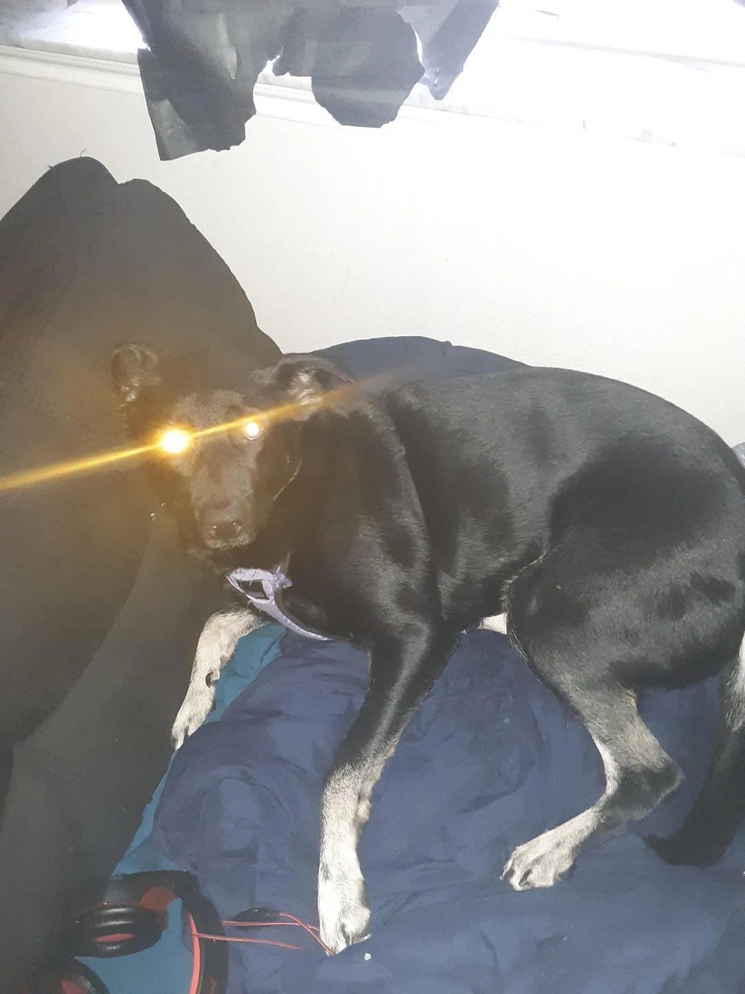 Blessing is her name she's entering the fourth dimension | Scrolller