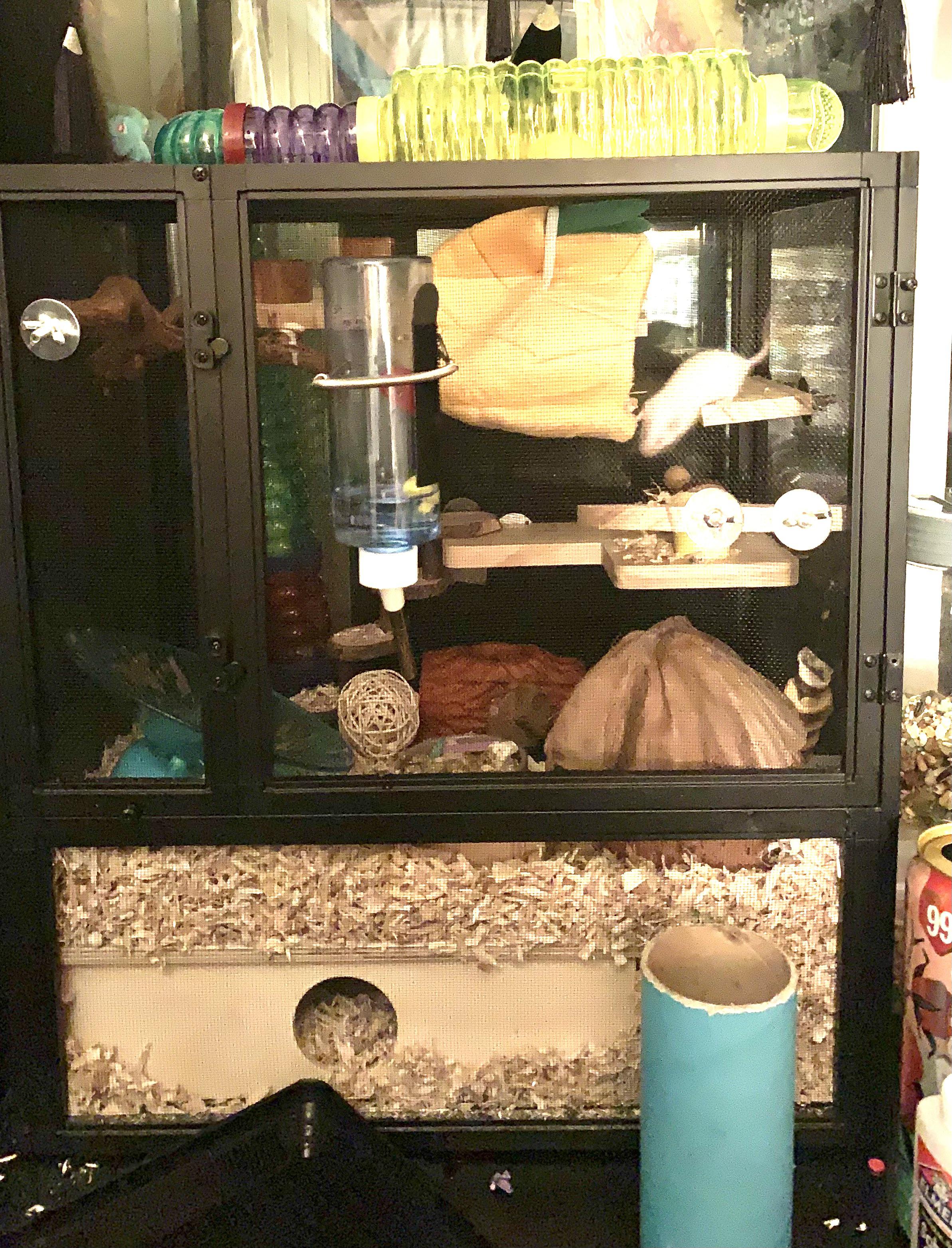 New enclosure! | Scrolller