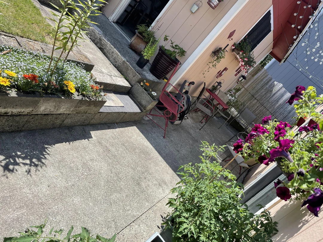 Relaxing in the backyard | Scrolller