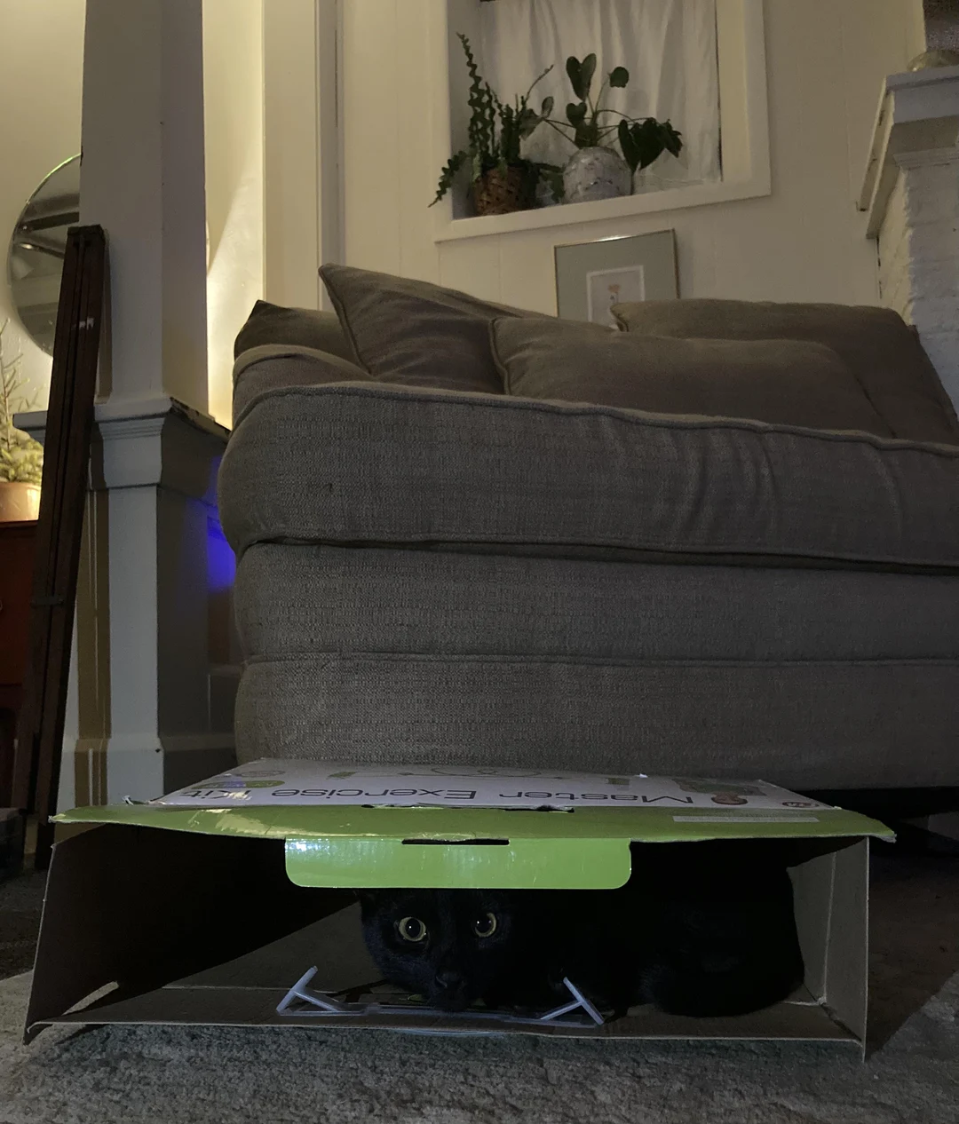 Trapped a void | Scrolller