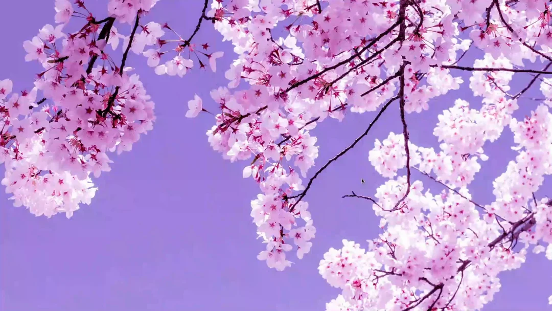 [hyprland] 🍚 | Scrolller