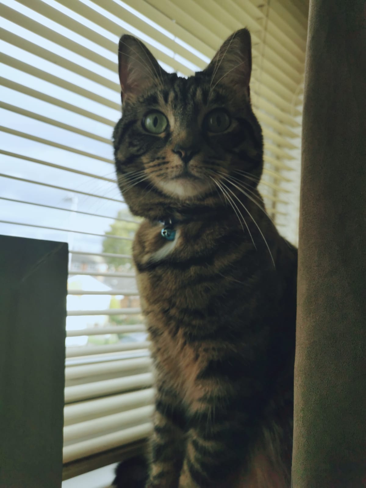 OH UHH HI DIDN'T SEE YOU THERE | Scrolller