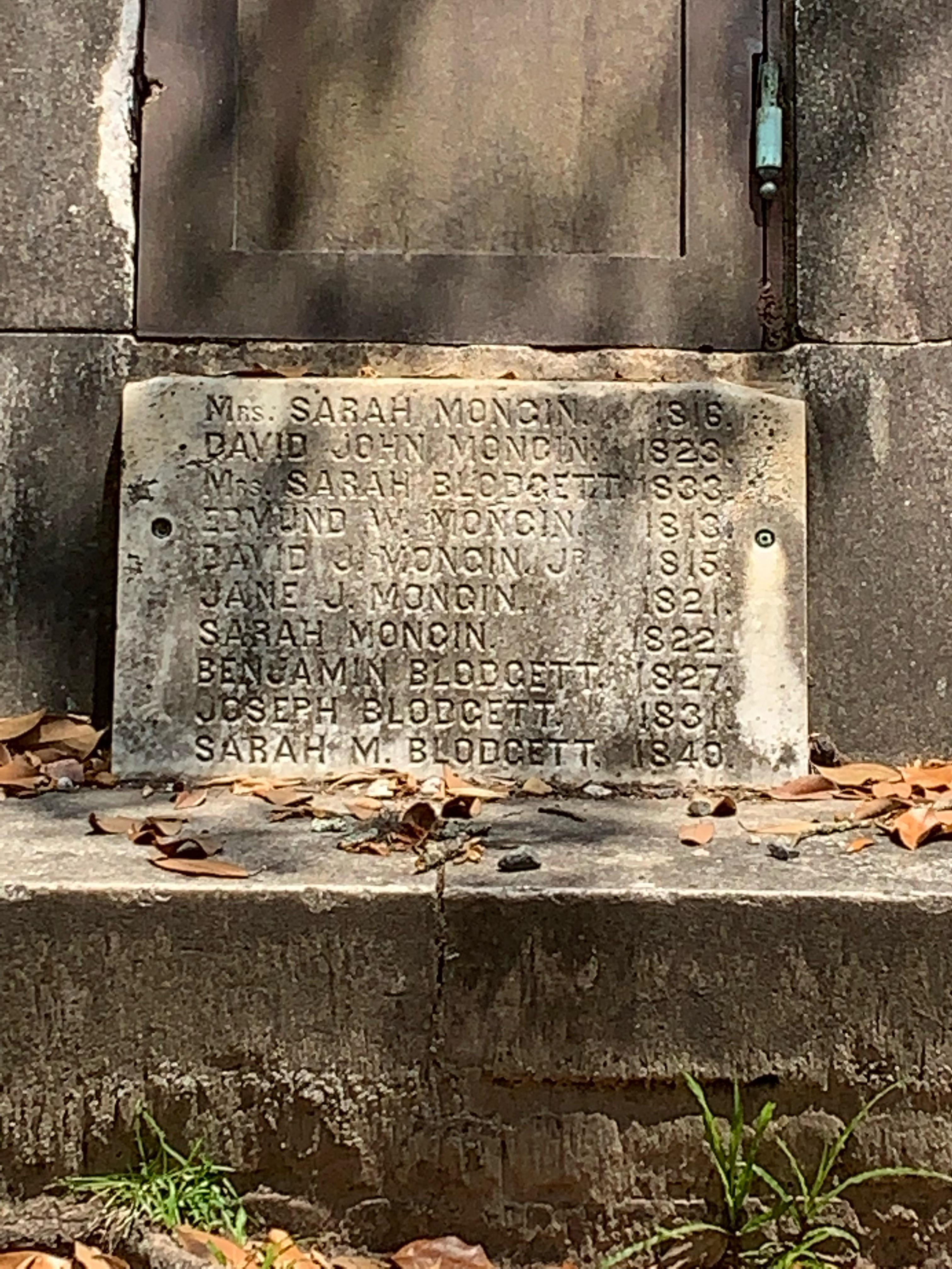 Savannah details | Scrolller