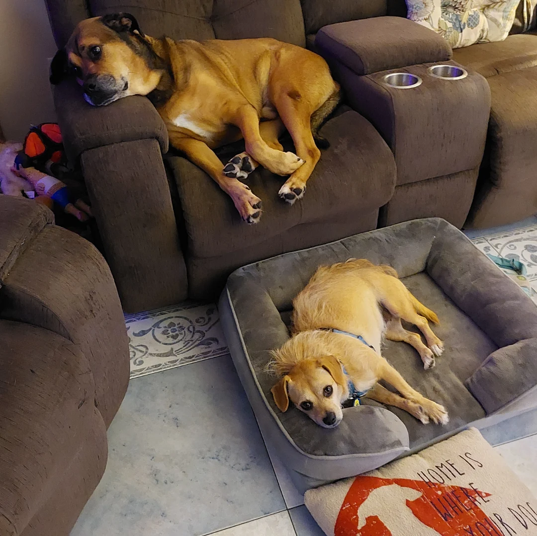 Adopted and spoiled | Scrolller