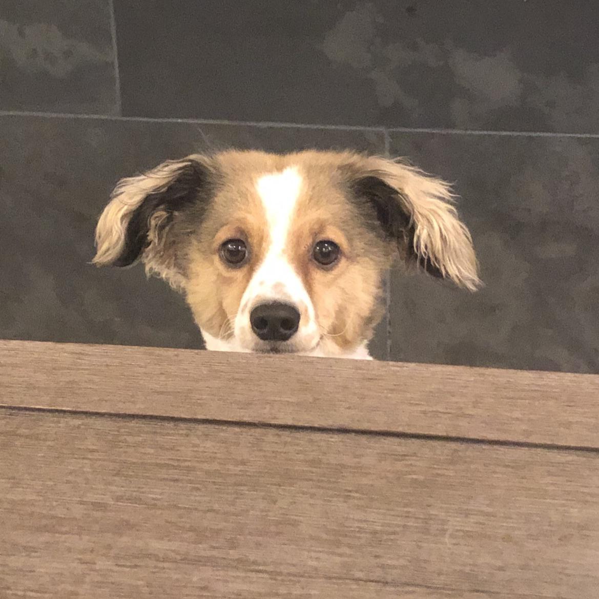 He’s always watching | Scrolller