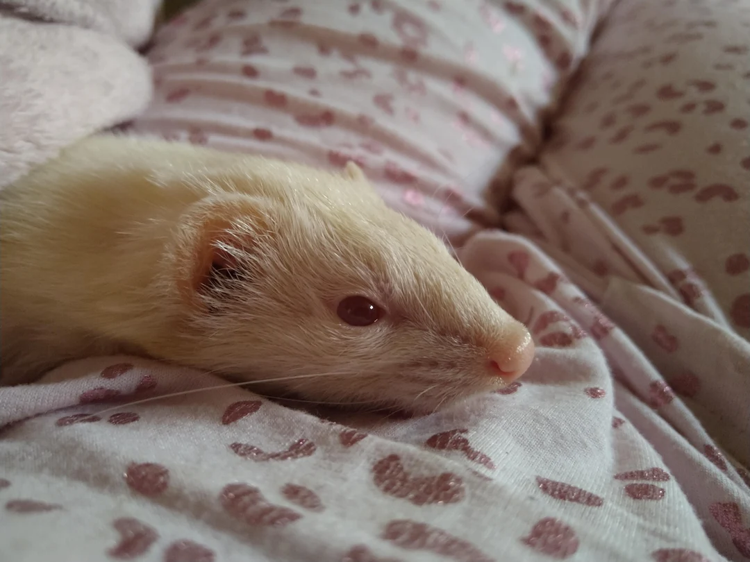 When to say goodbye? | Scrolller