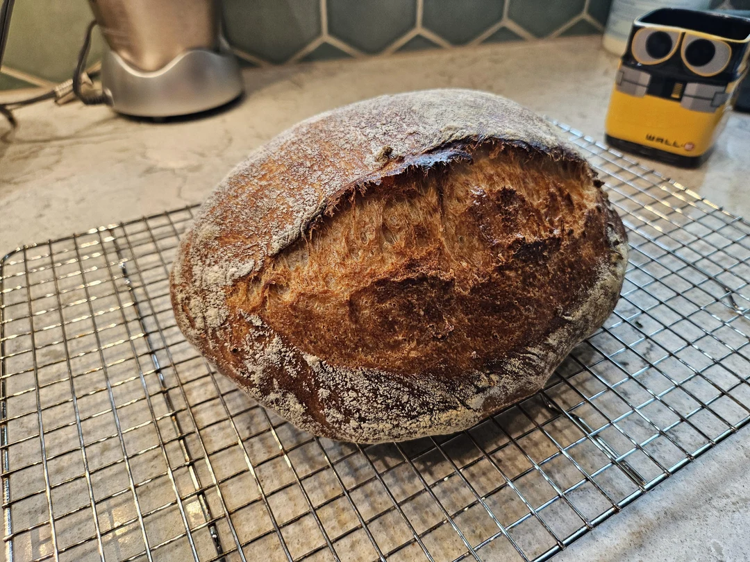 Overnight White | Scrolller