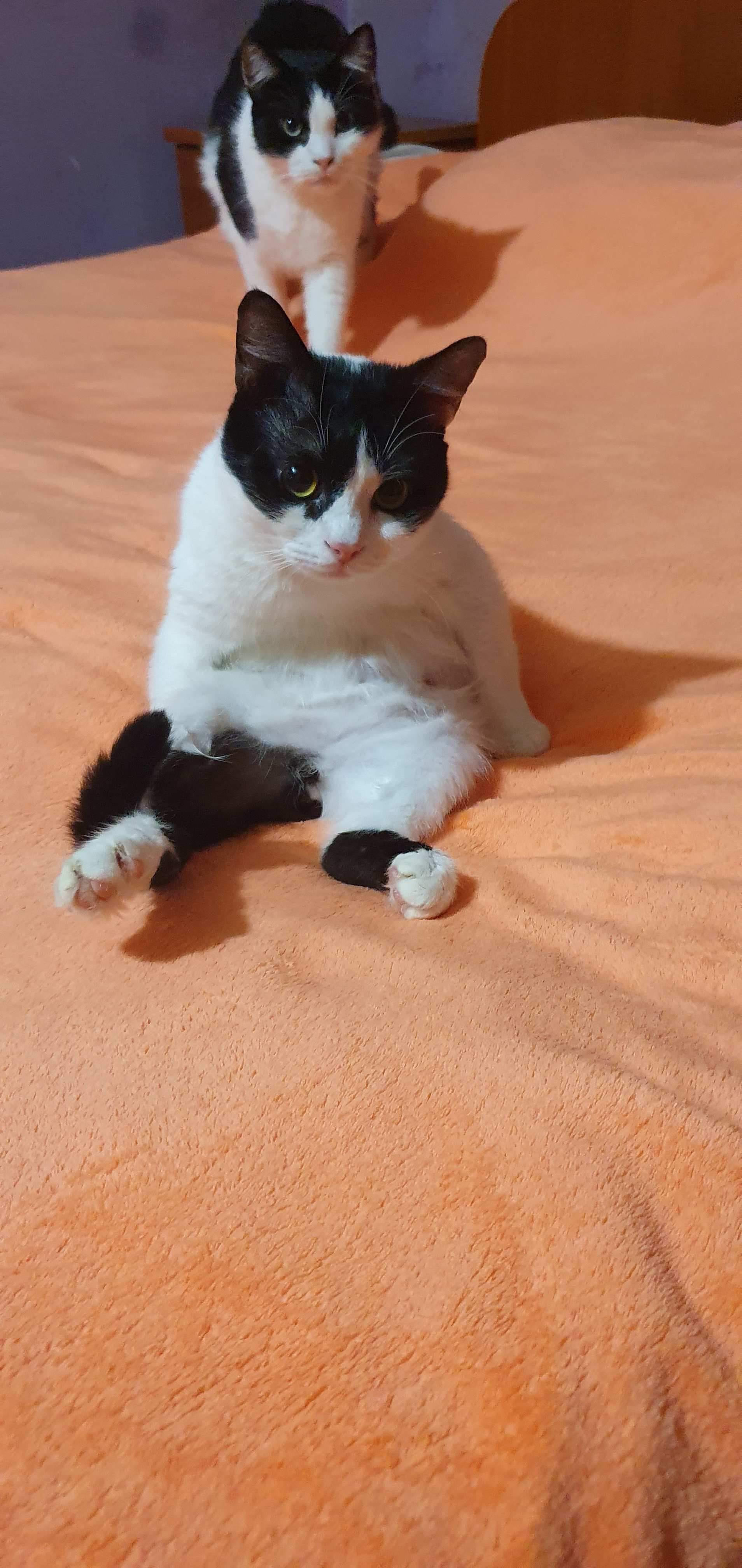 What’s up Doc ?(OC) | Scrolller