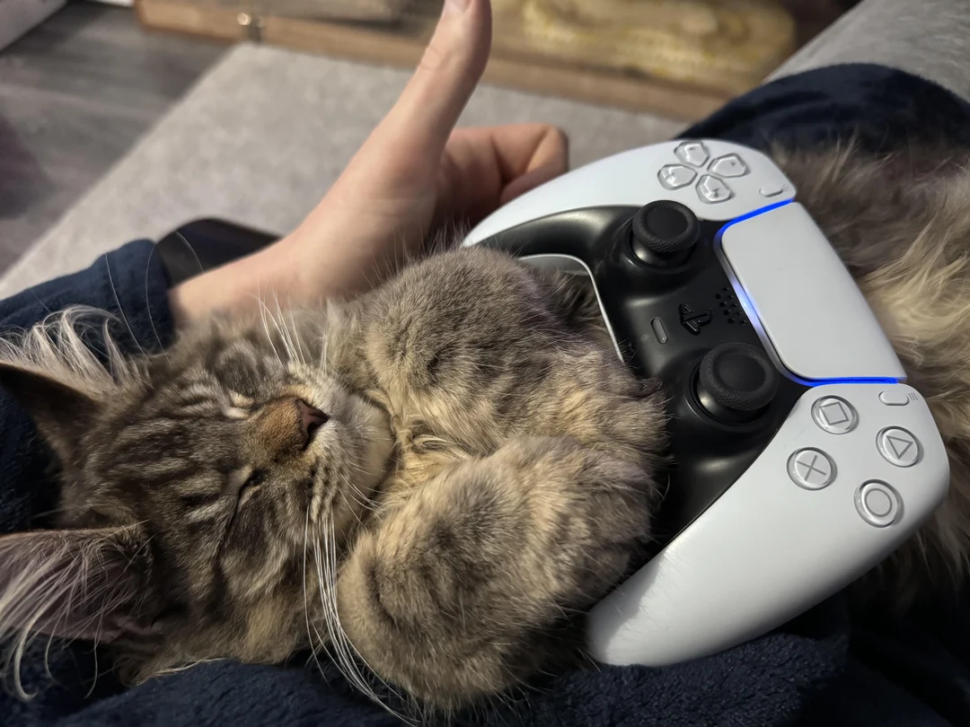 Baldur’s Paws II | Scrolller