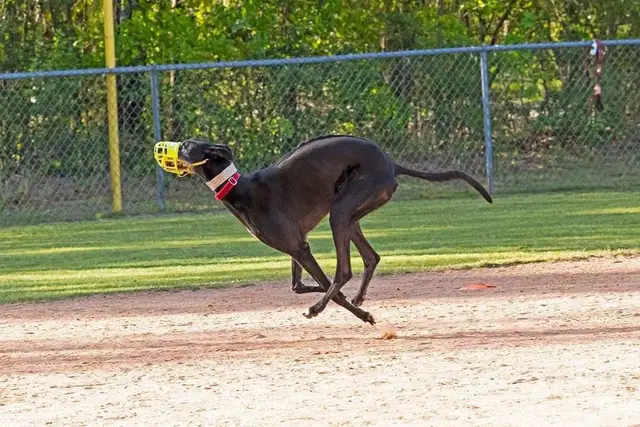 My boy showing off his floating skills. | Scrolller