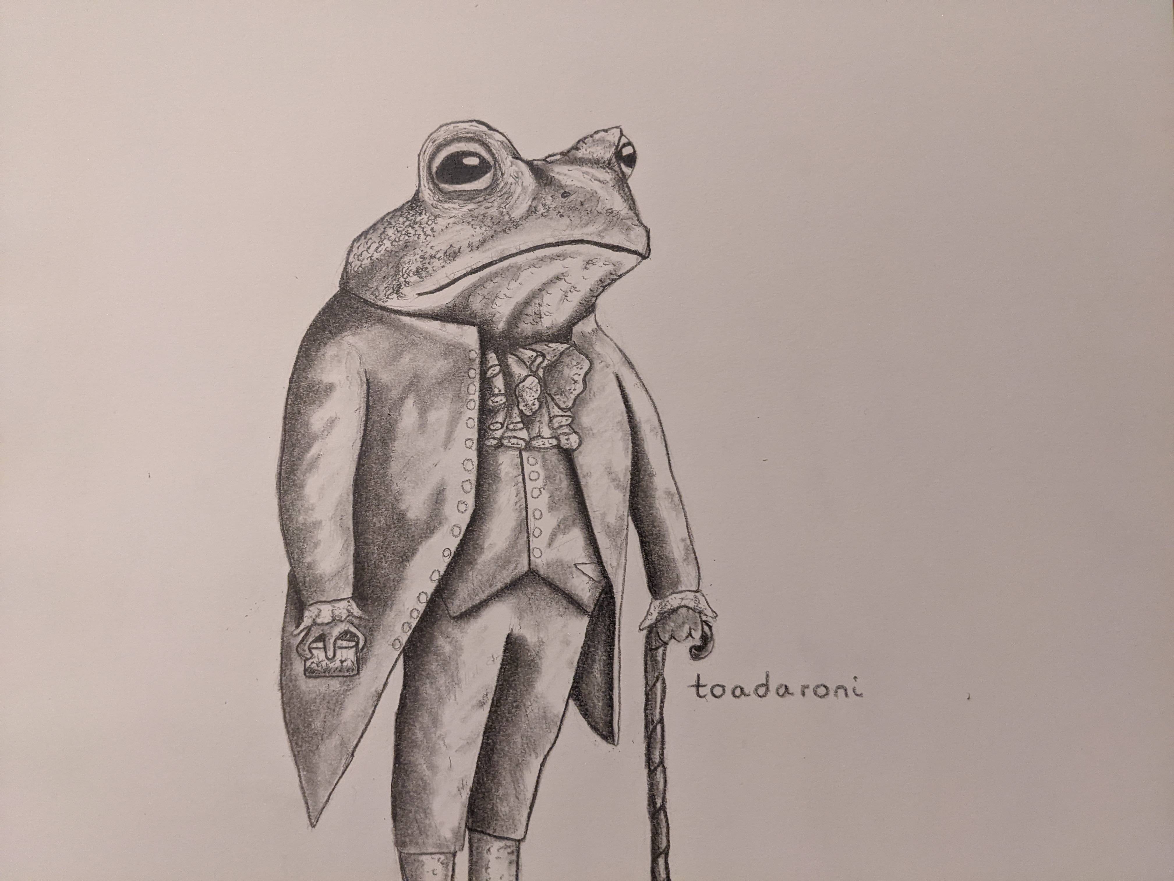 Sir Walter Toad II, me, graphite, 2022 | Scrolller