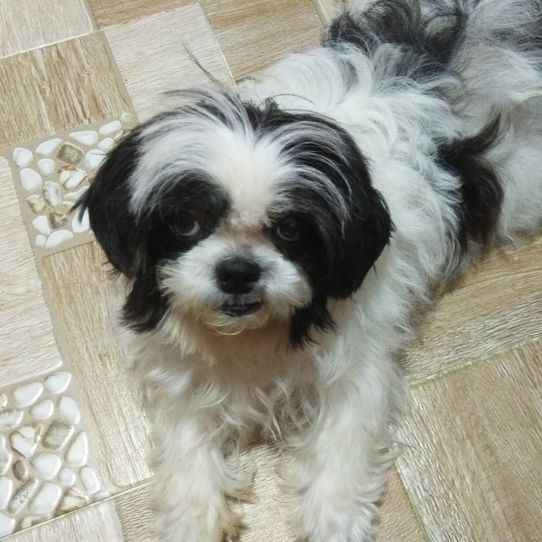 I feel like she's judging me | Scrolller