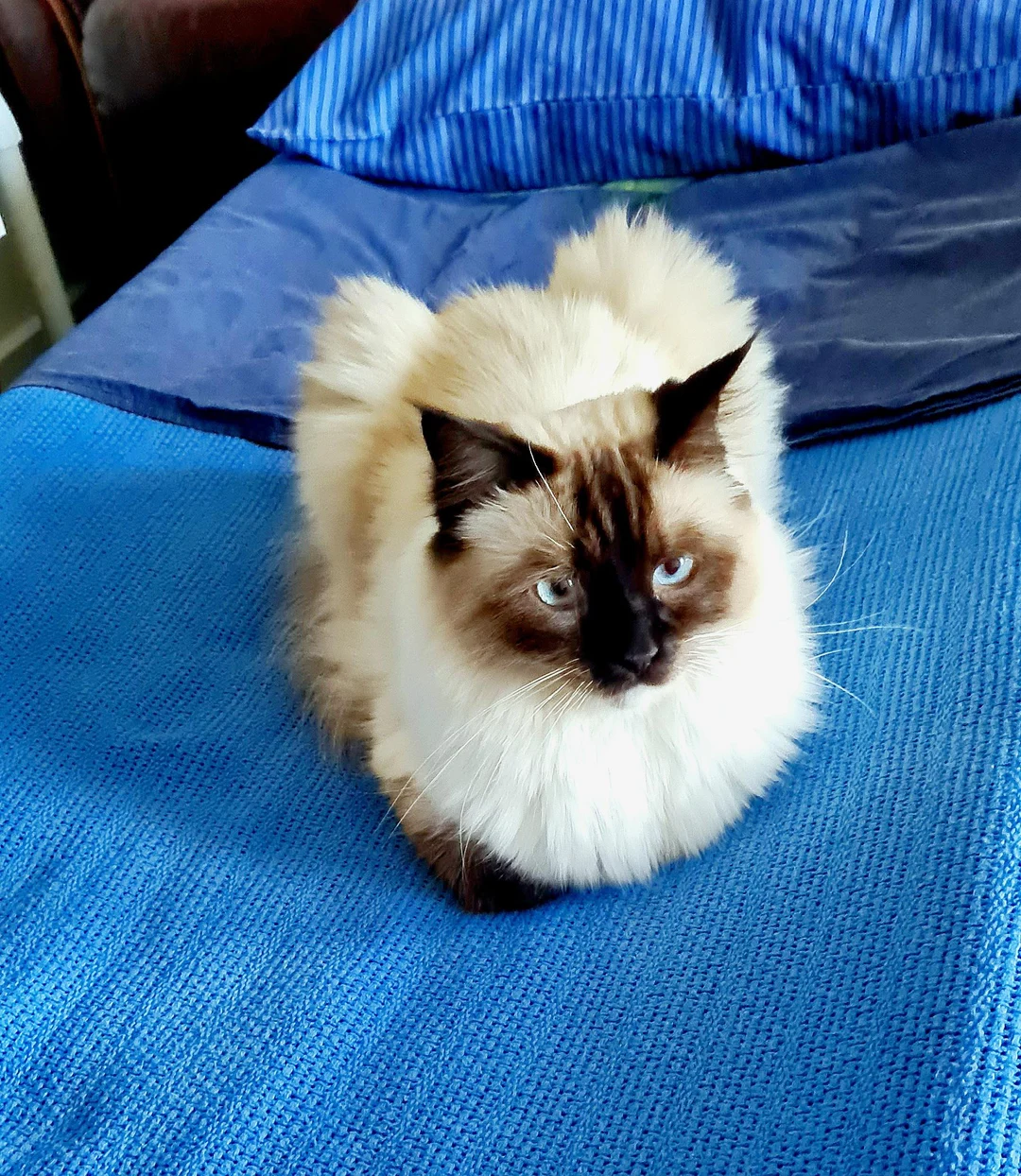 Visitors bed loaf | Scrolller