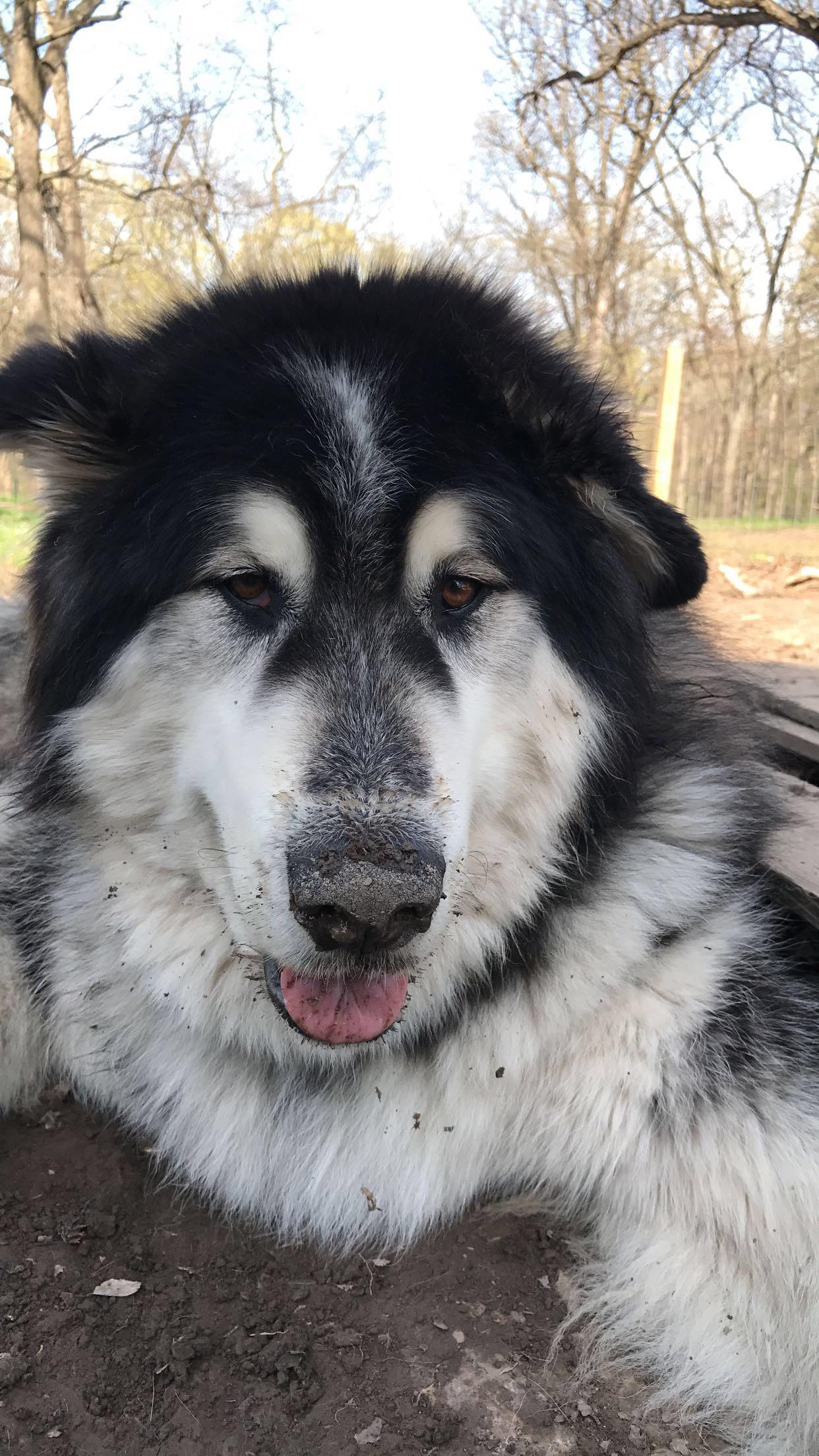 Muddy Buddy | Scrolller