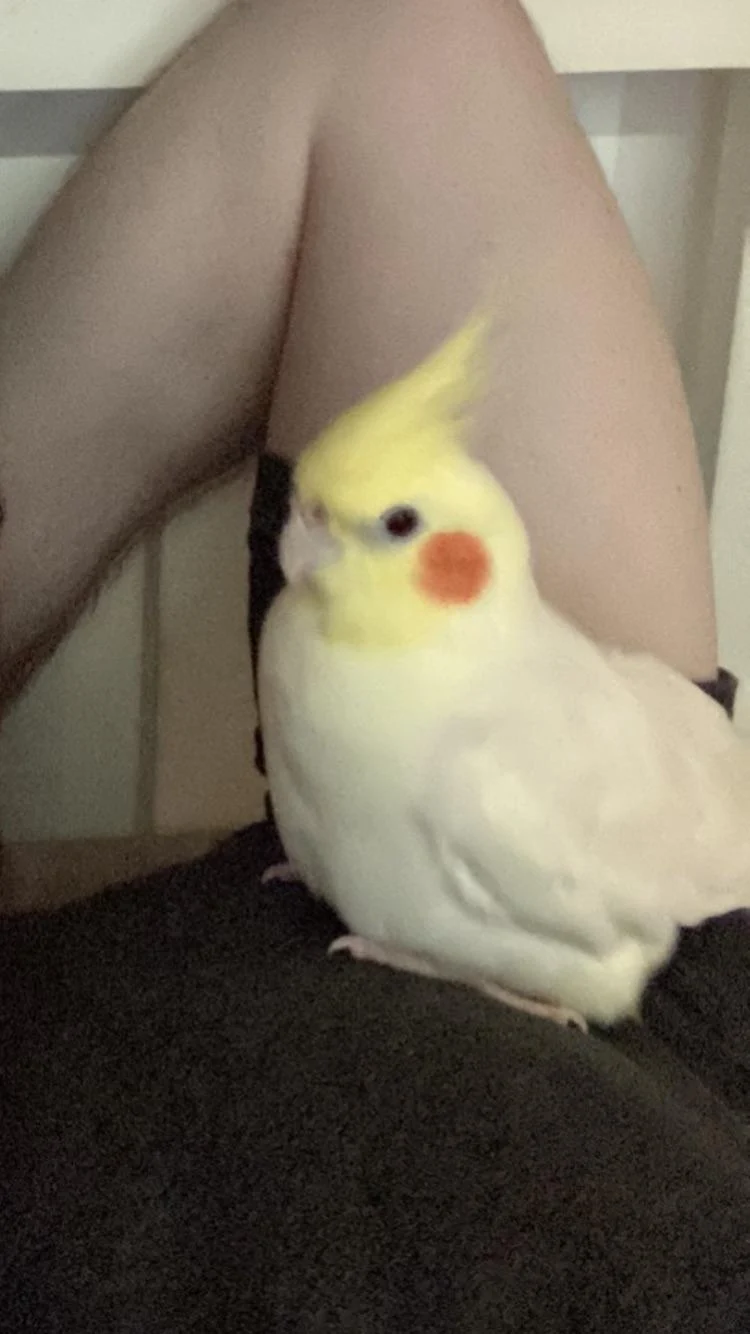 Thought I’d take a nice picture of us together, then he adopted “the posture” | Scrolller