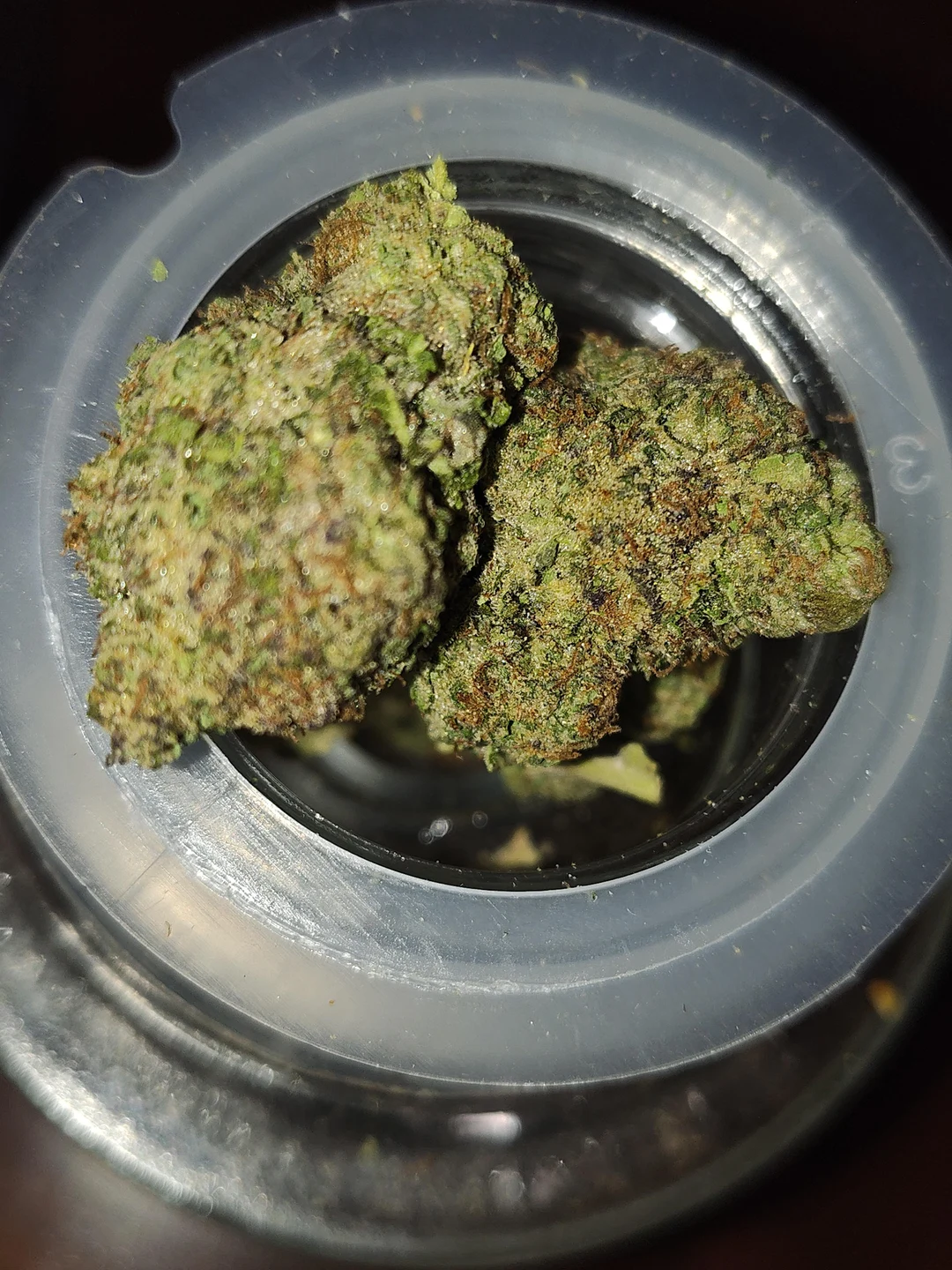 Alaskan thunder fuck | Scrolller