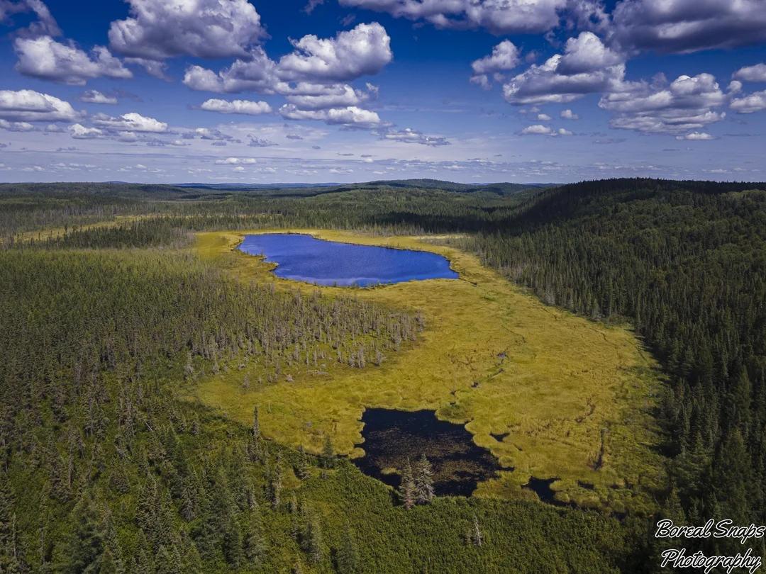 Lake nestled in the Canadian boreal forests, Thunder Bay district [4000 x 3000] [OC] | Scrolller