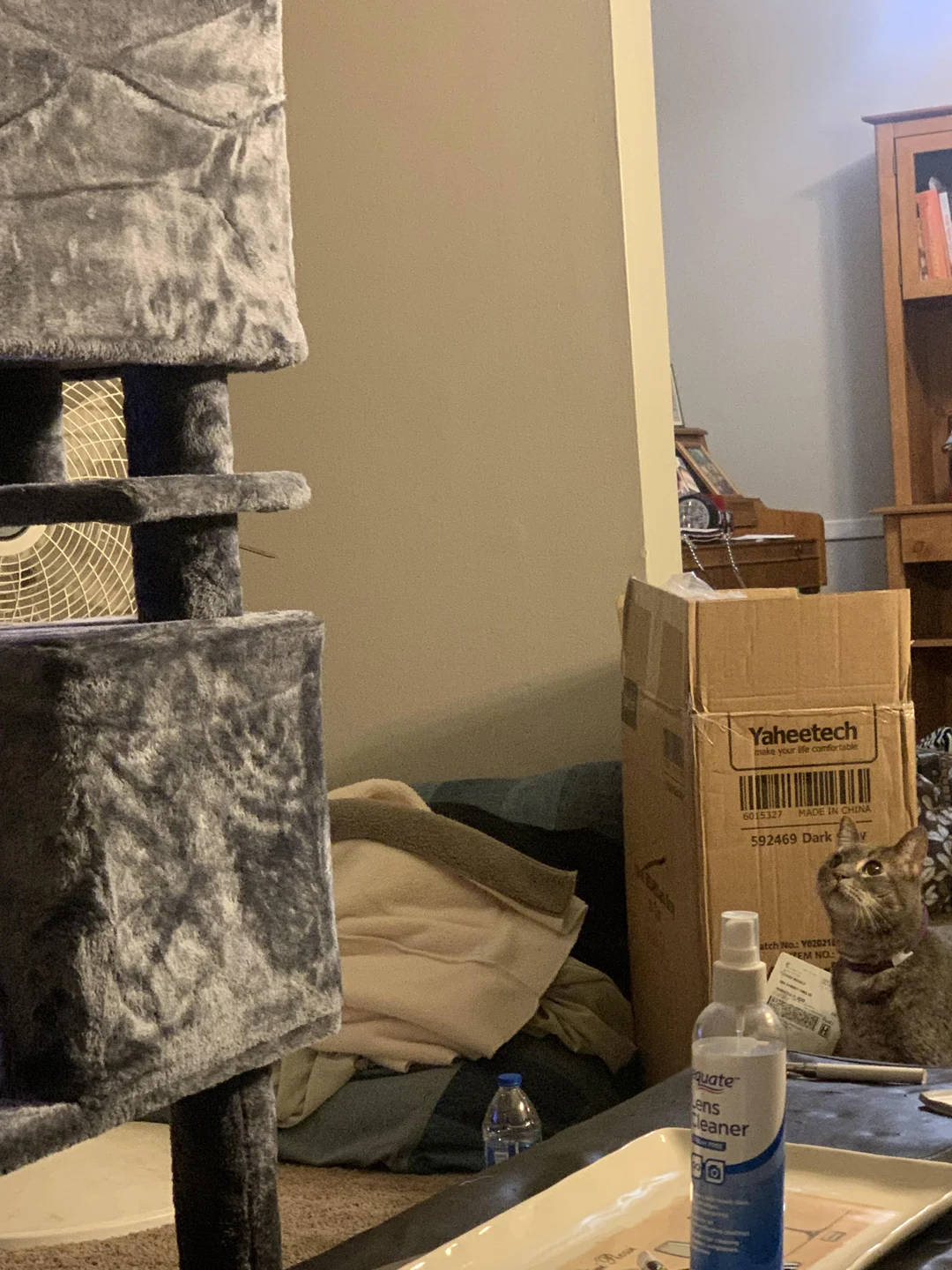 This perfect boy’s first look at his new tower~ | Scrolller