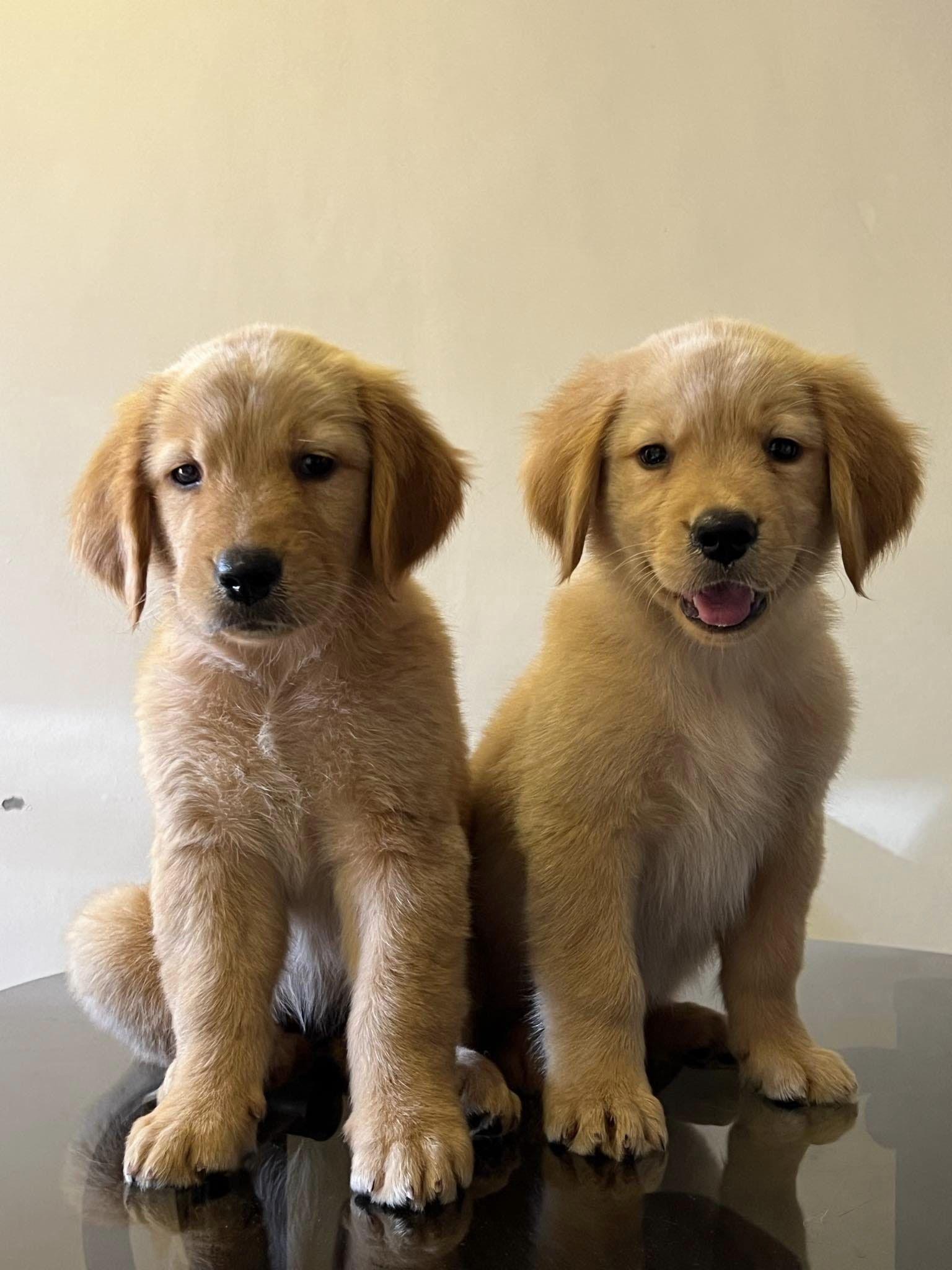 Look at these cuties | Scrolller