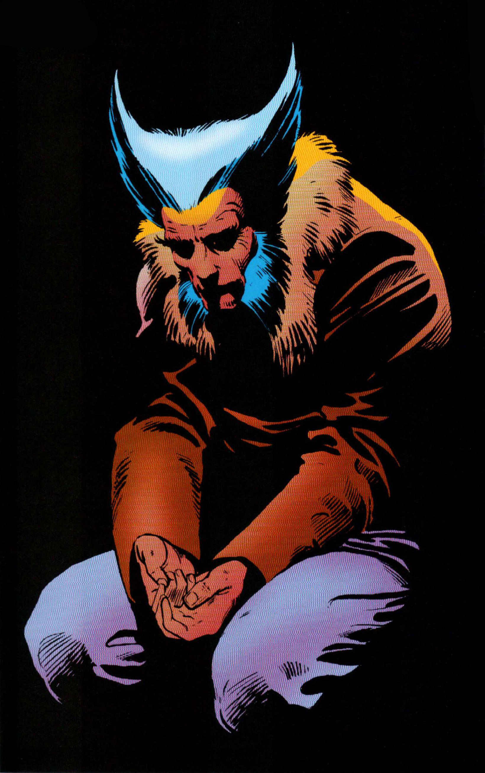 I don't know why but I love this artwork of Wolverine done by Frank Miller, its like Logan is in ...