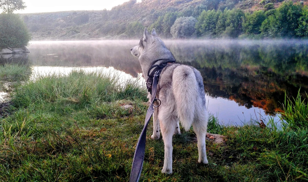 07.30, down by the river. | Scrolller