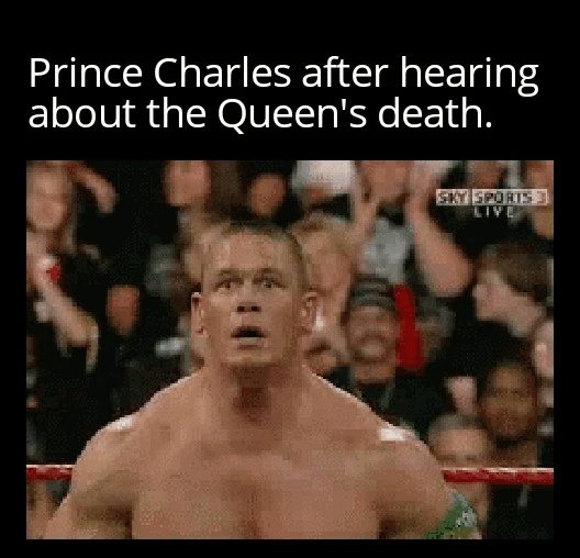 The Return of the King | Scrolller