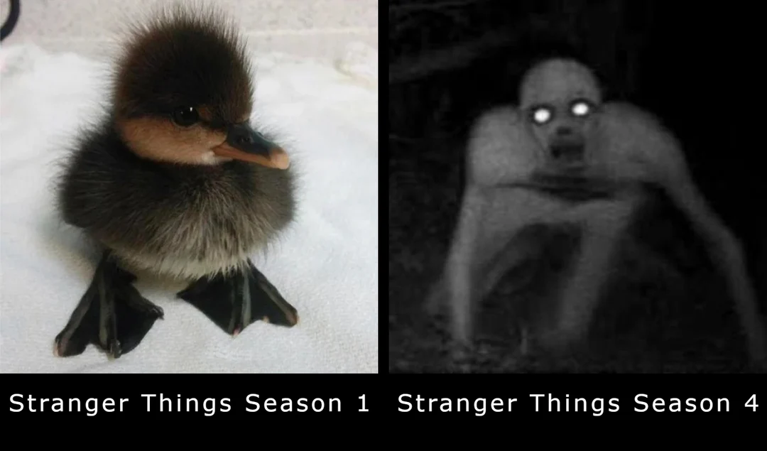 It hit different | Scrolller