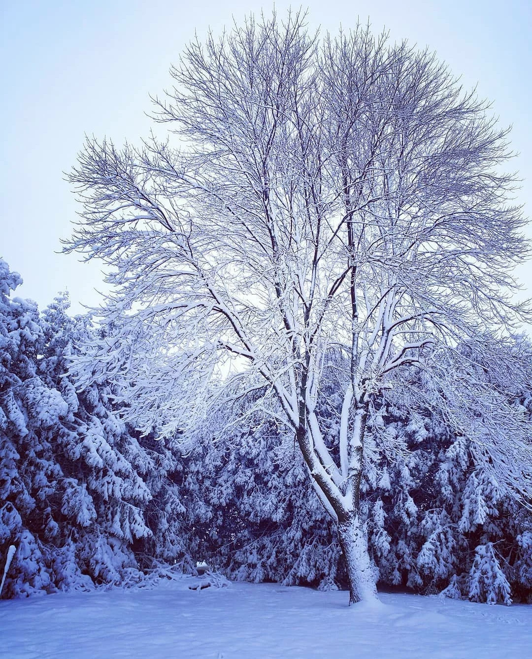 I love Winter | Scrolller