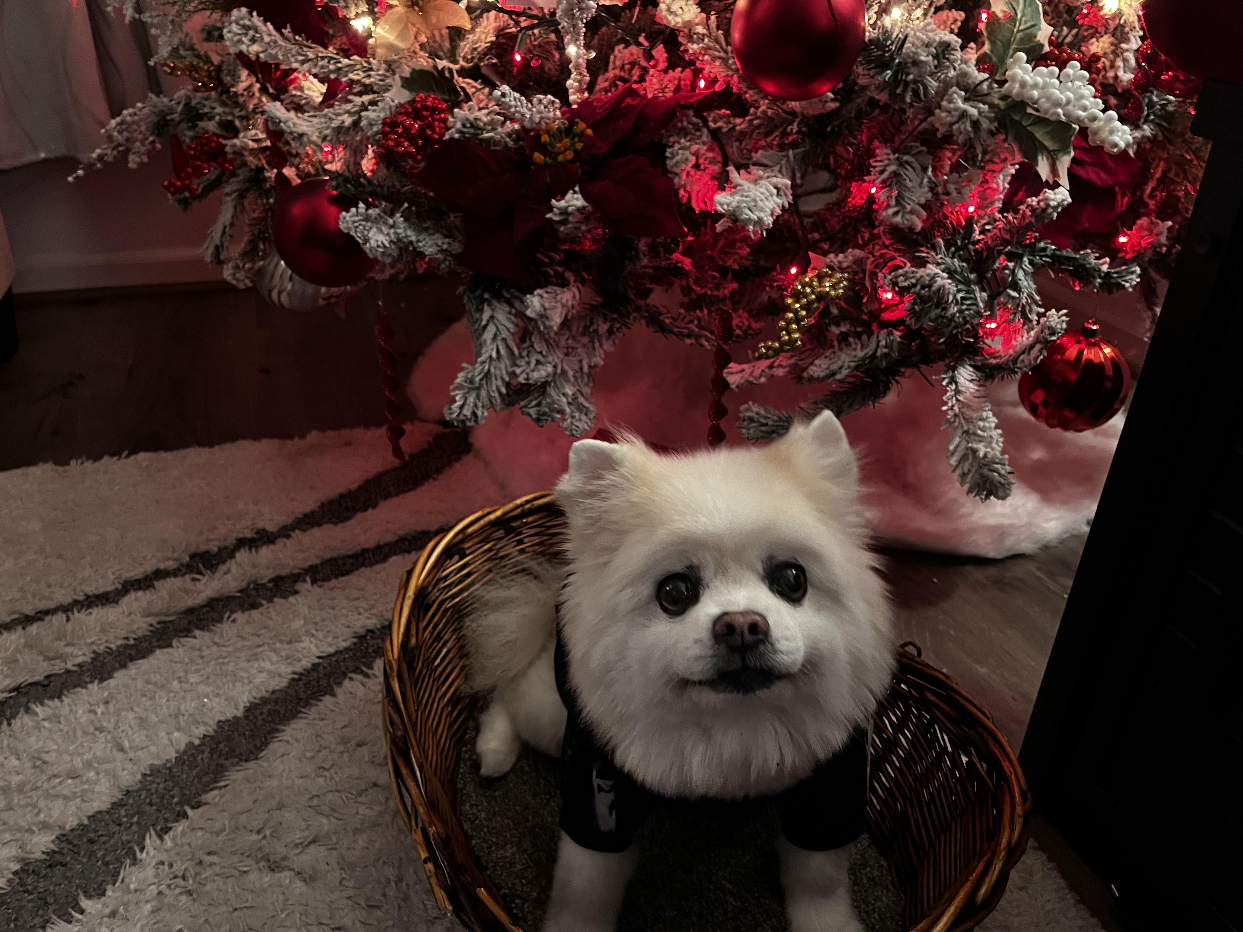 Last year, I had a fellow Redditor draw a cartoon character of Bobby In Memoriam | Scrolller