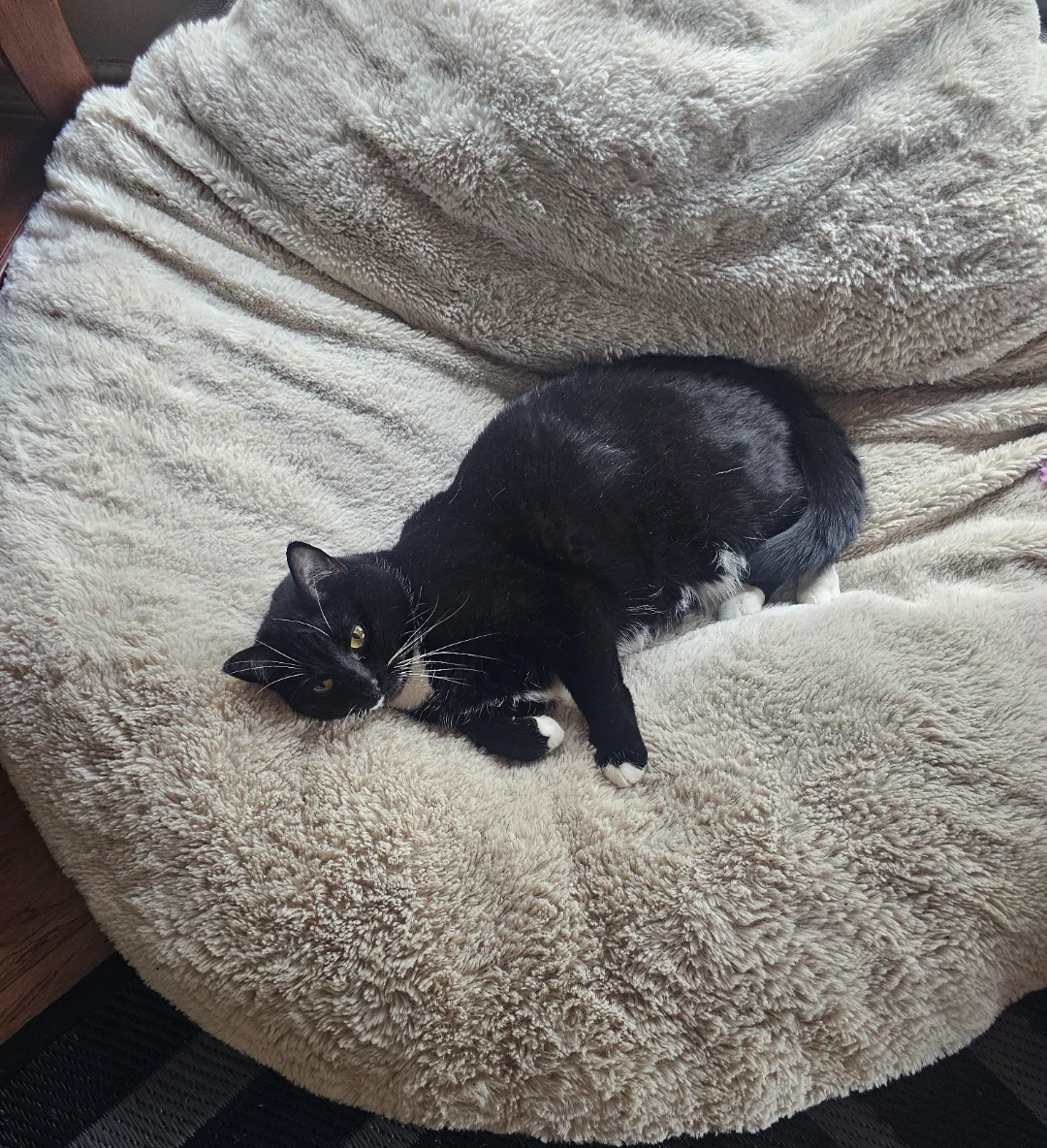 Momma loves the big squish | Scrolller