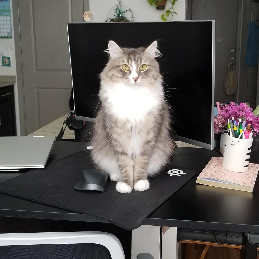 My favorite coworker! | Scrolller