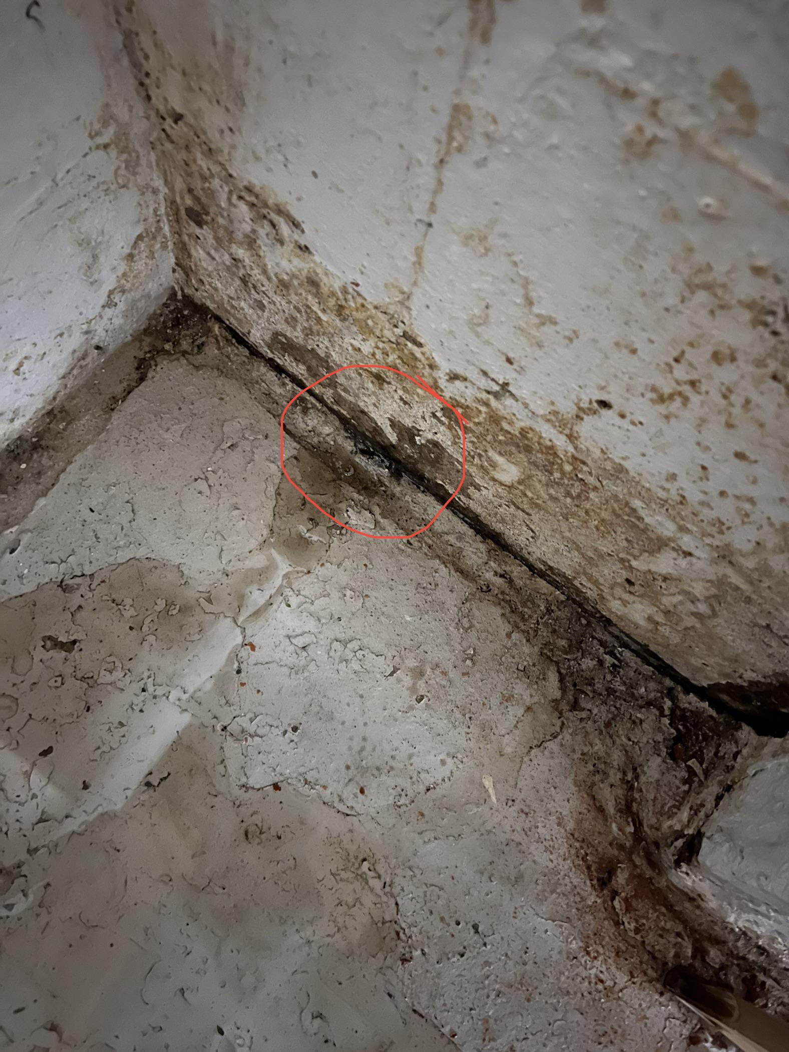 Small water leak in basement | Scrolller