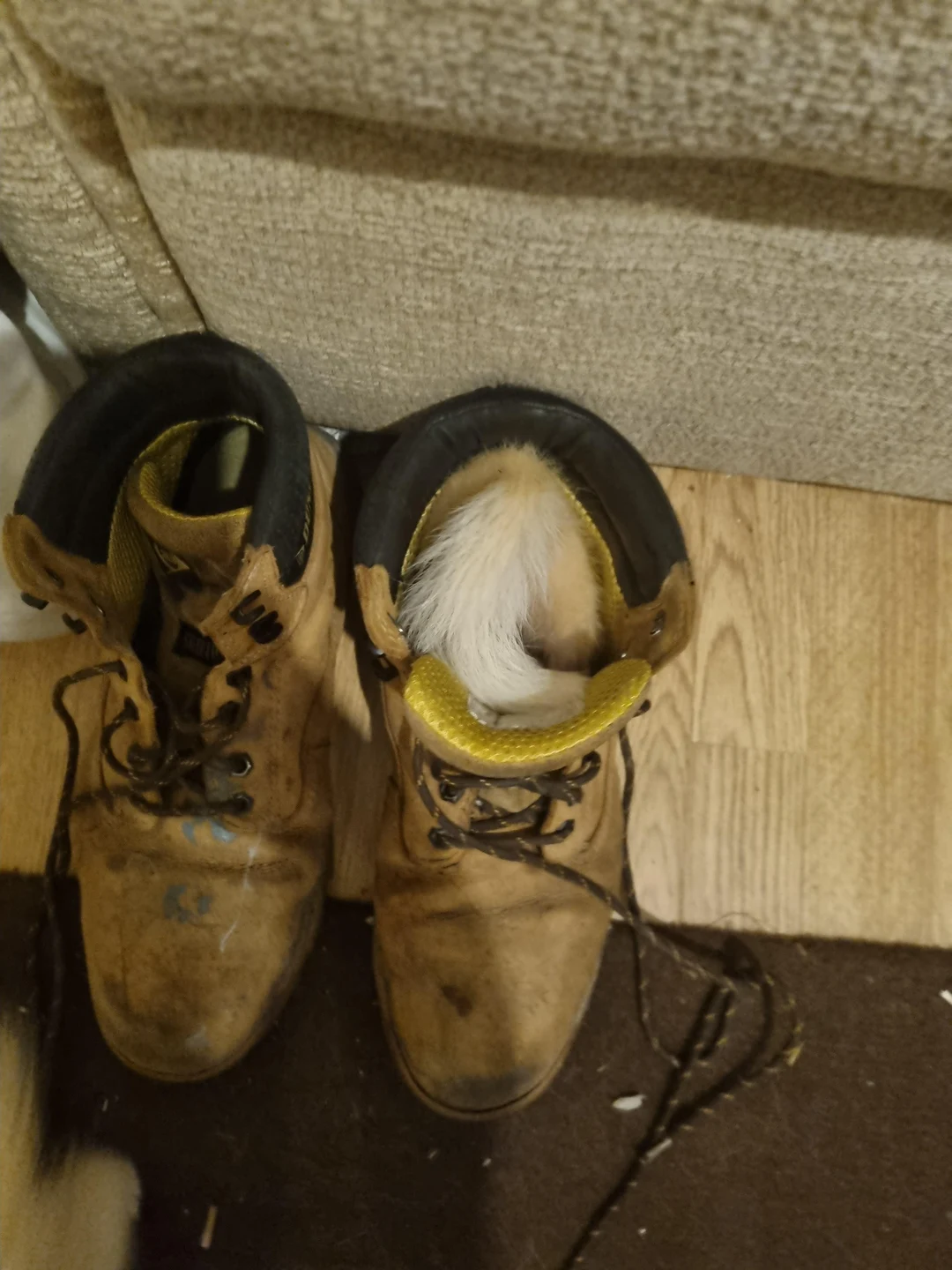 Boot monster!! | Scrolller