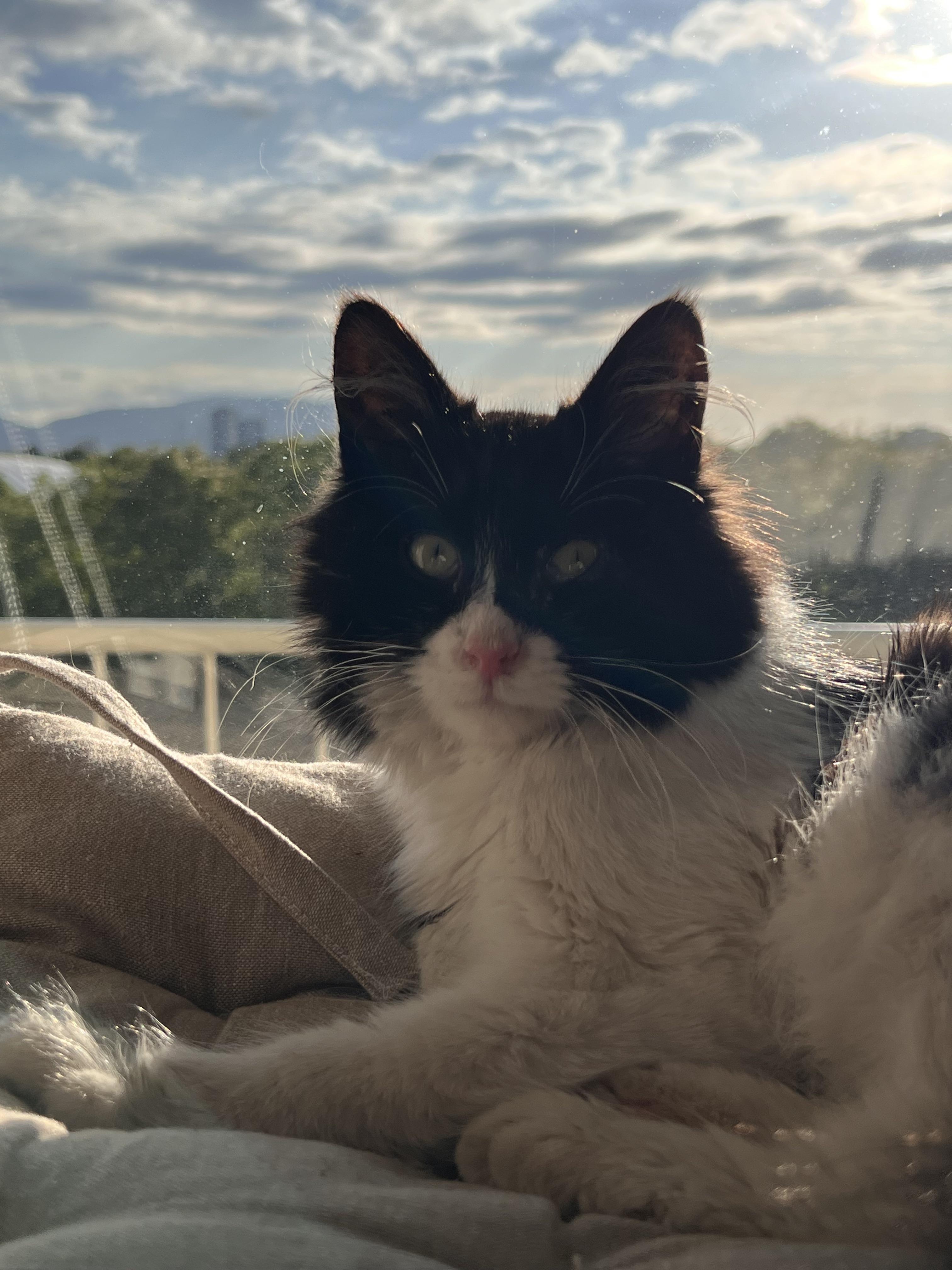 10 days difference | Scrolller