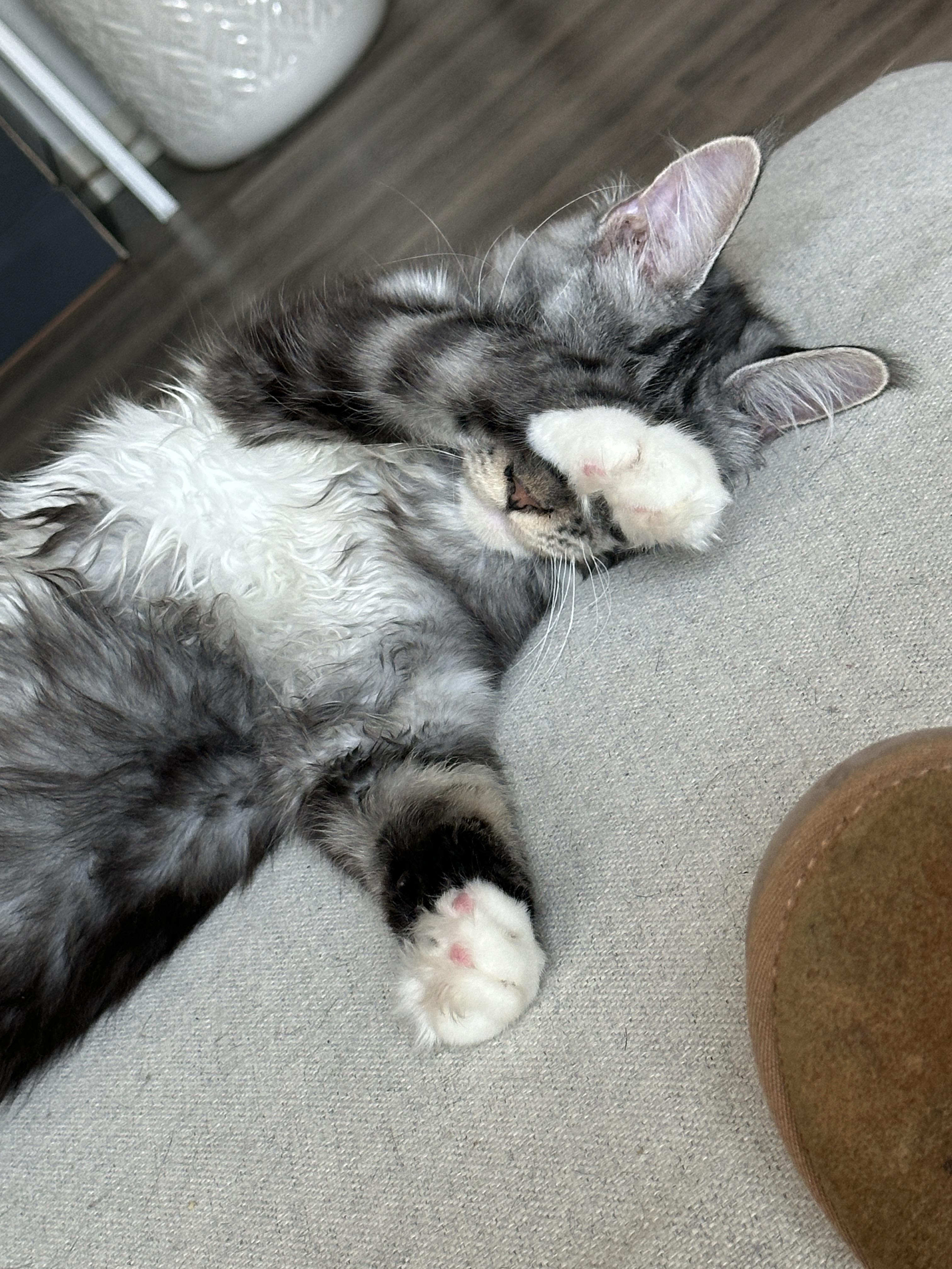 Hello. Goodbye. | Scrolller