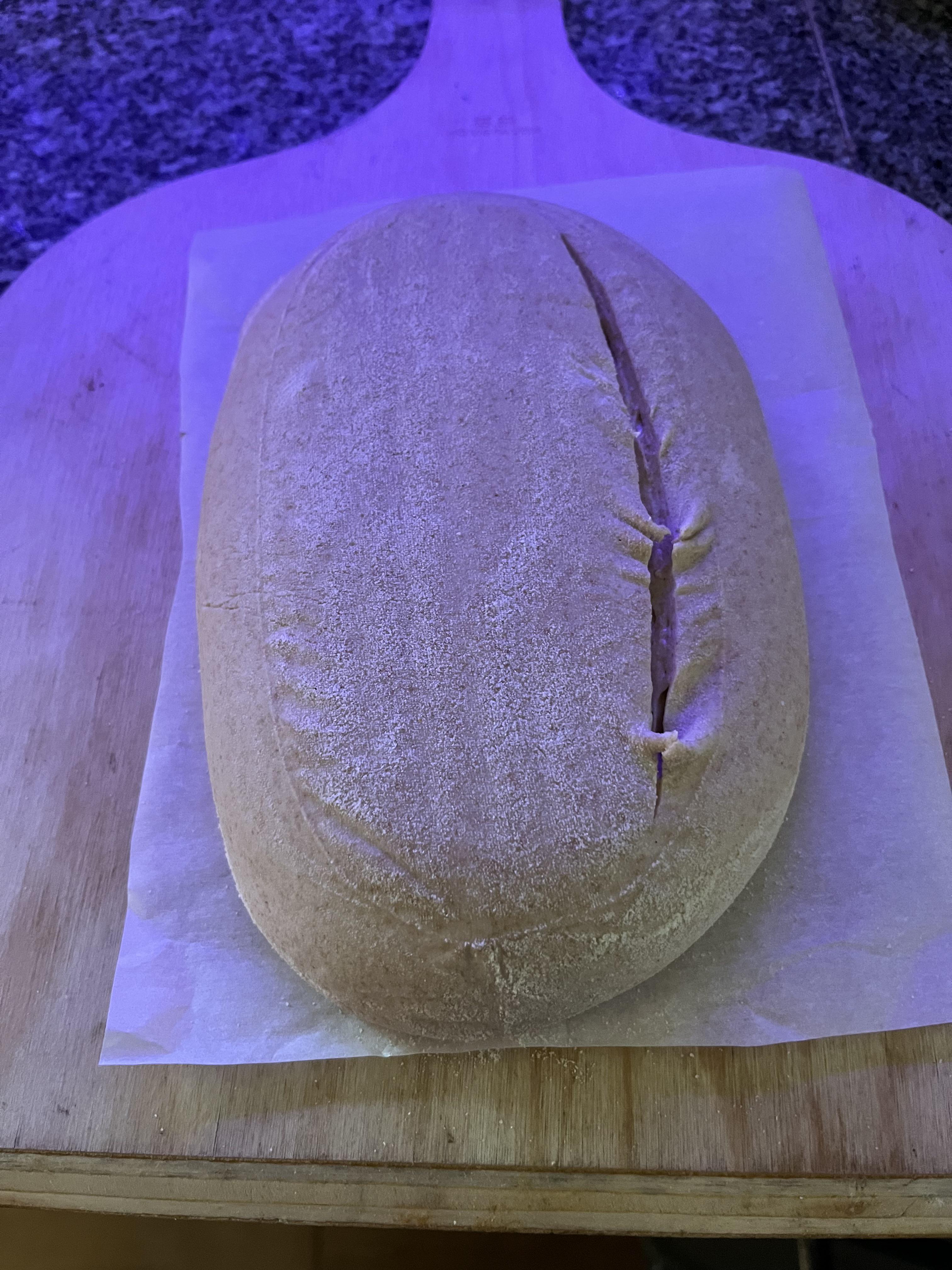 Discover more like Breadit: First loaf and Related Content | Scrolller