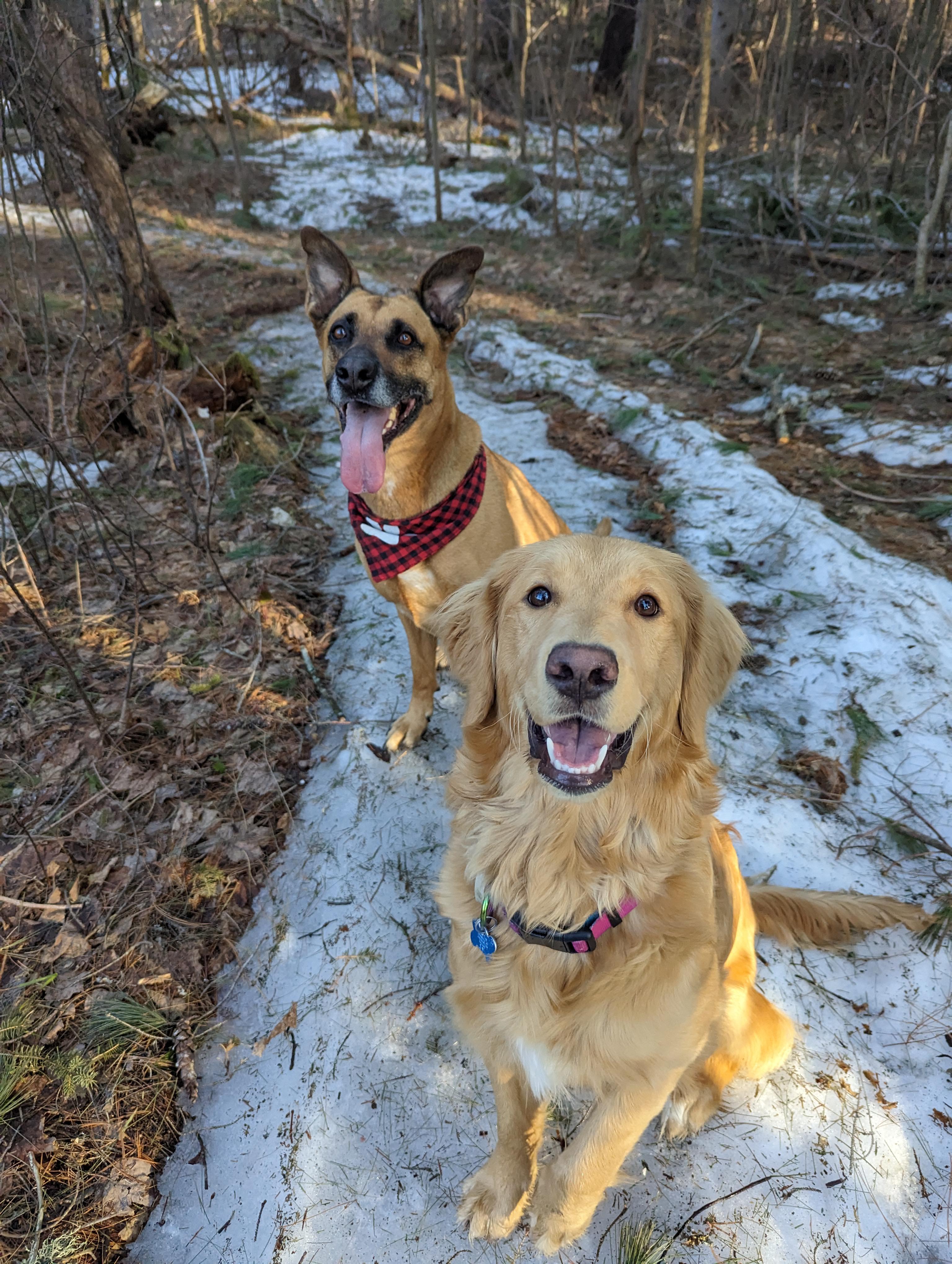 Pose....SQUIRREL!!! | Scrolller