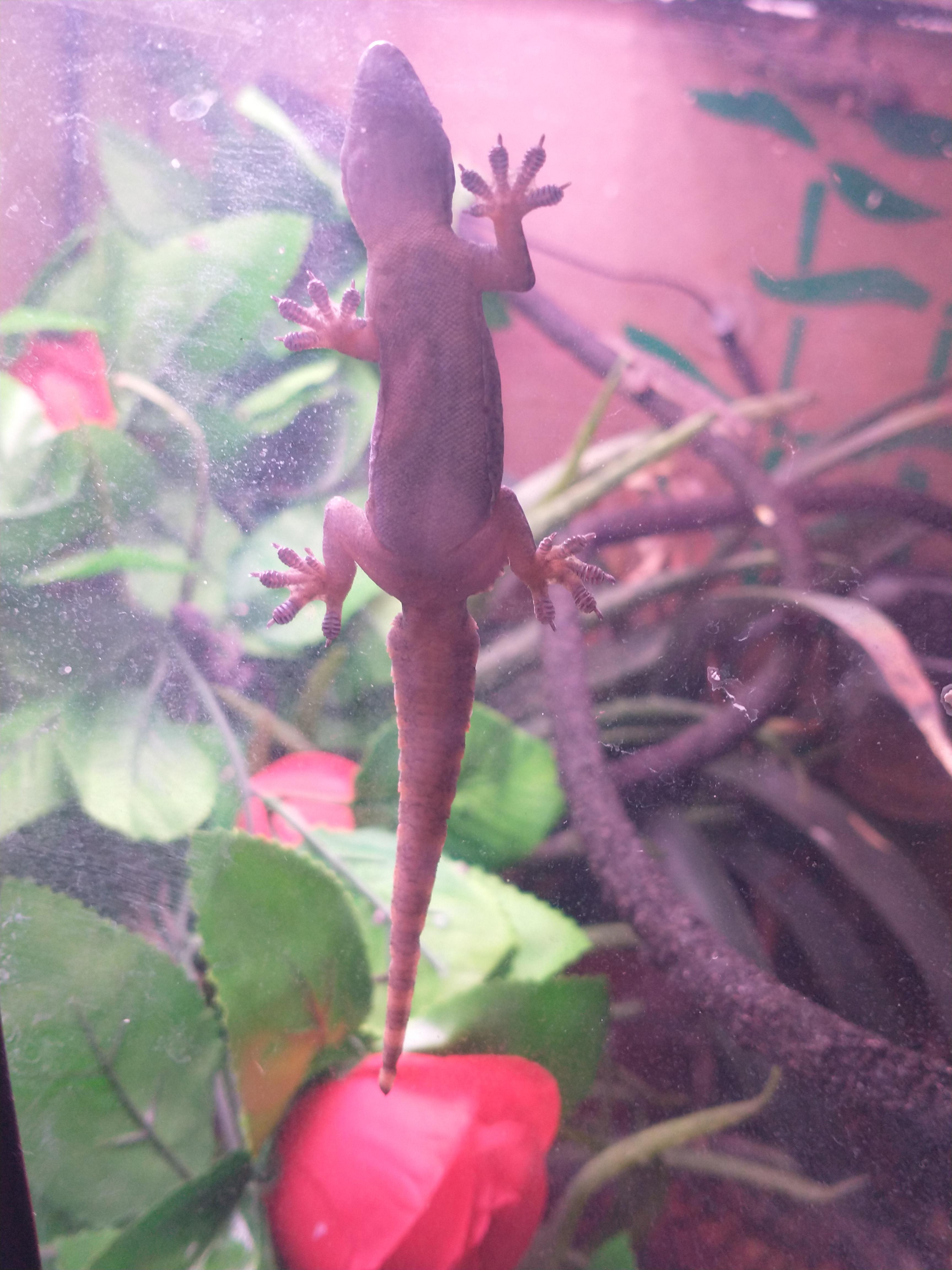 House or mourning? | Scrolller