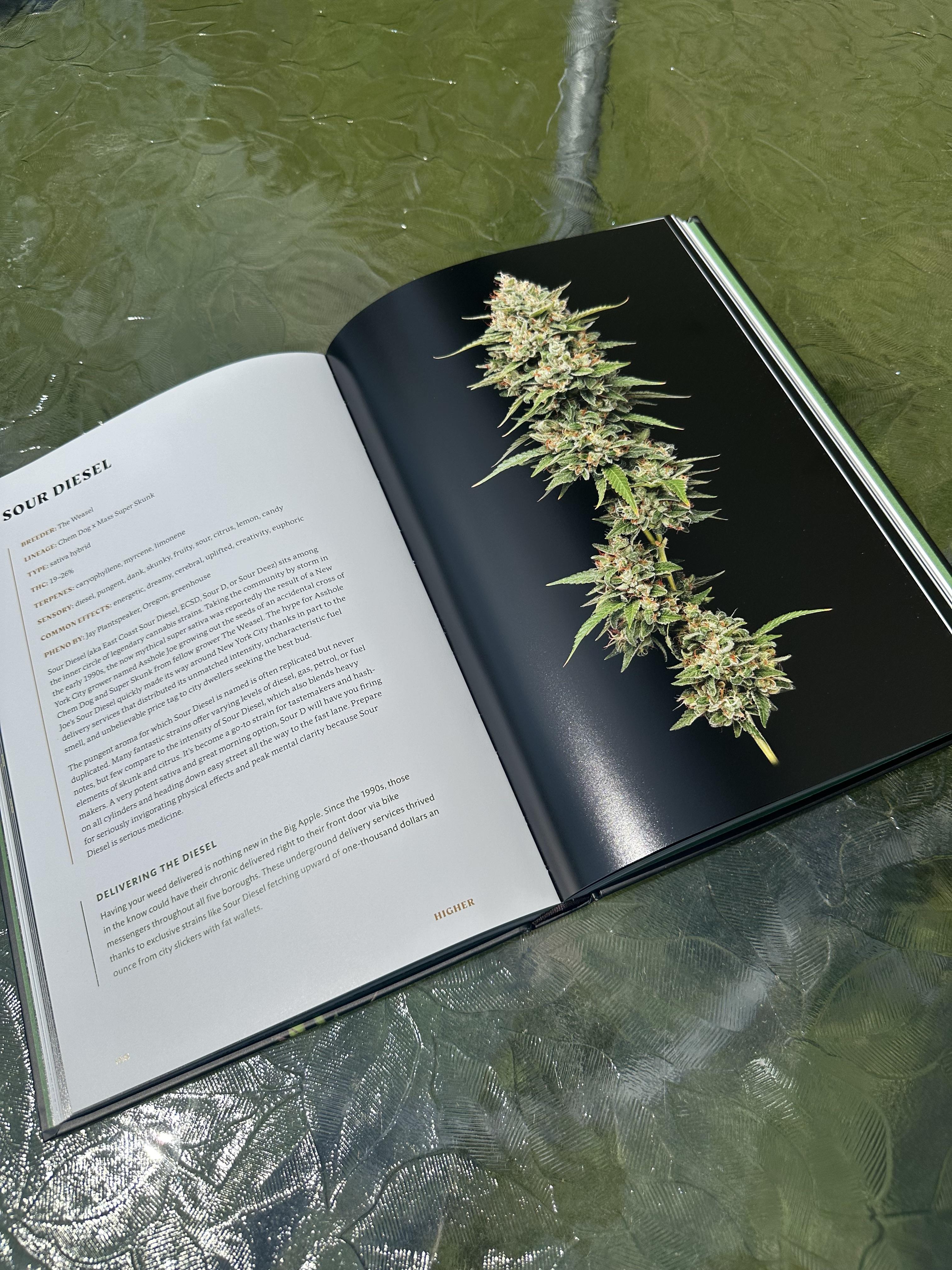 Great Book | Scrolller