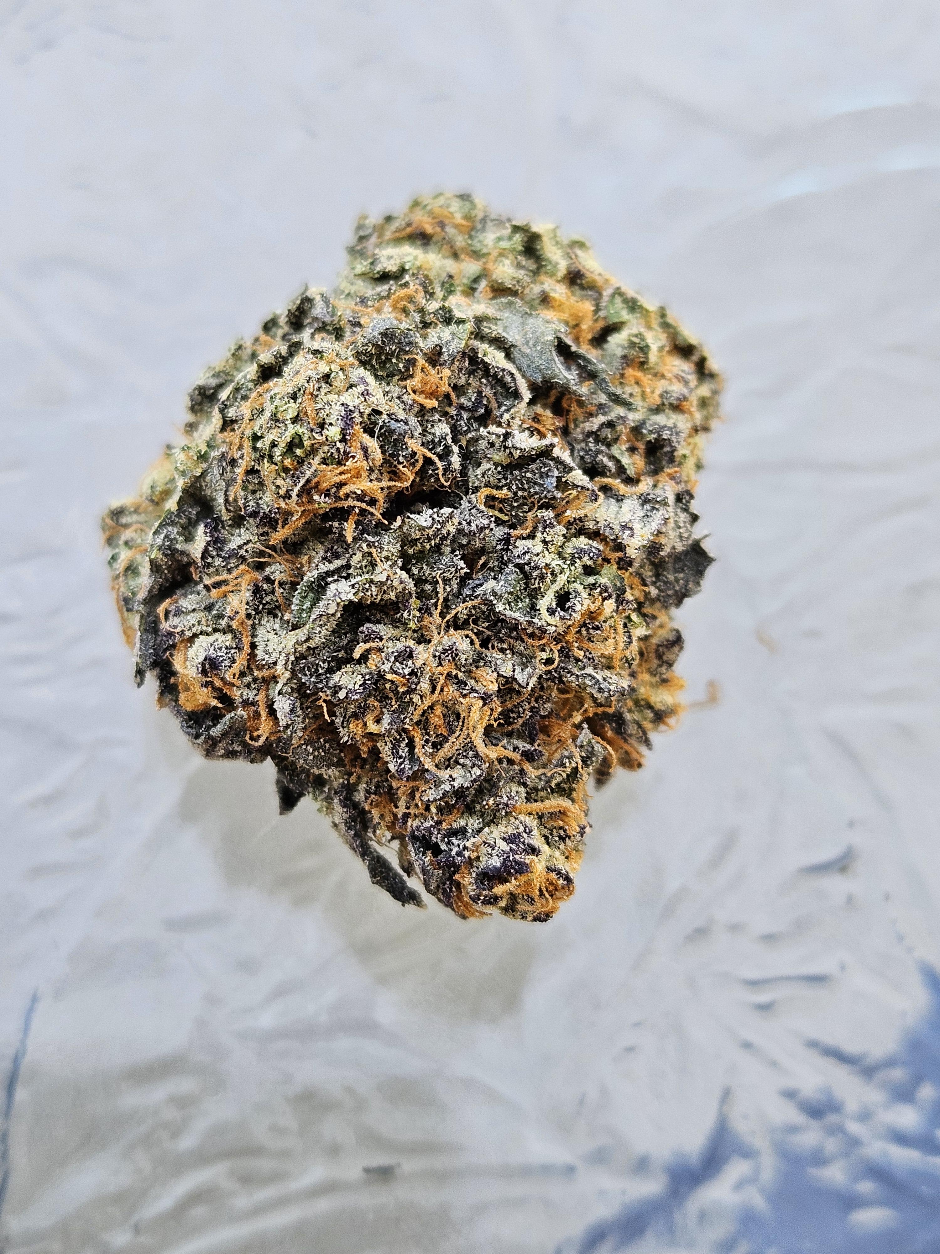 Some hydro gelato, and hydro yeti og | Scrolller