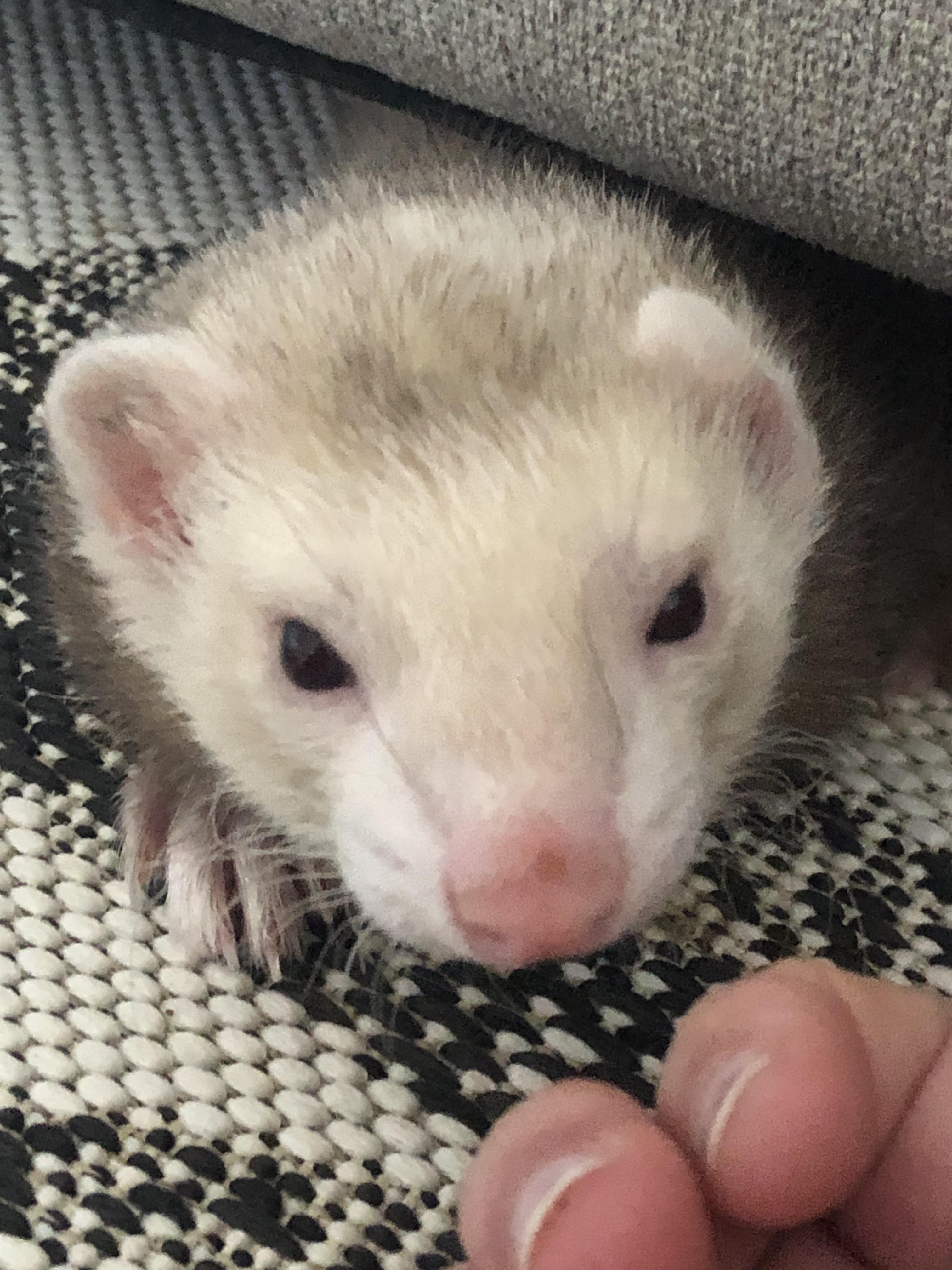 Fletcher | Scrolller