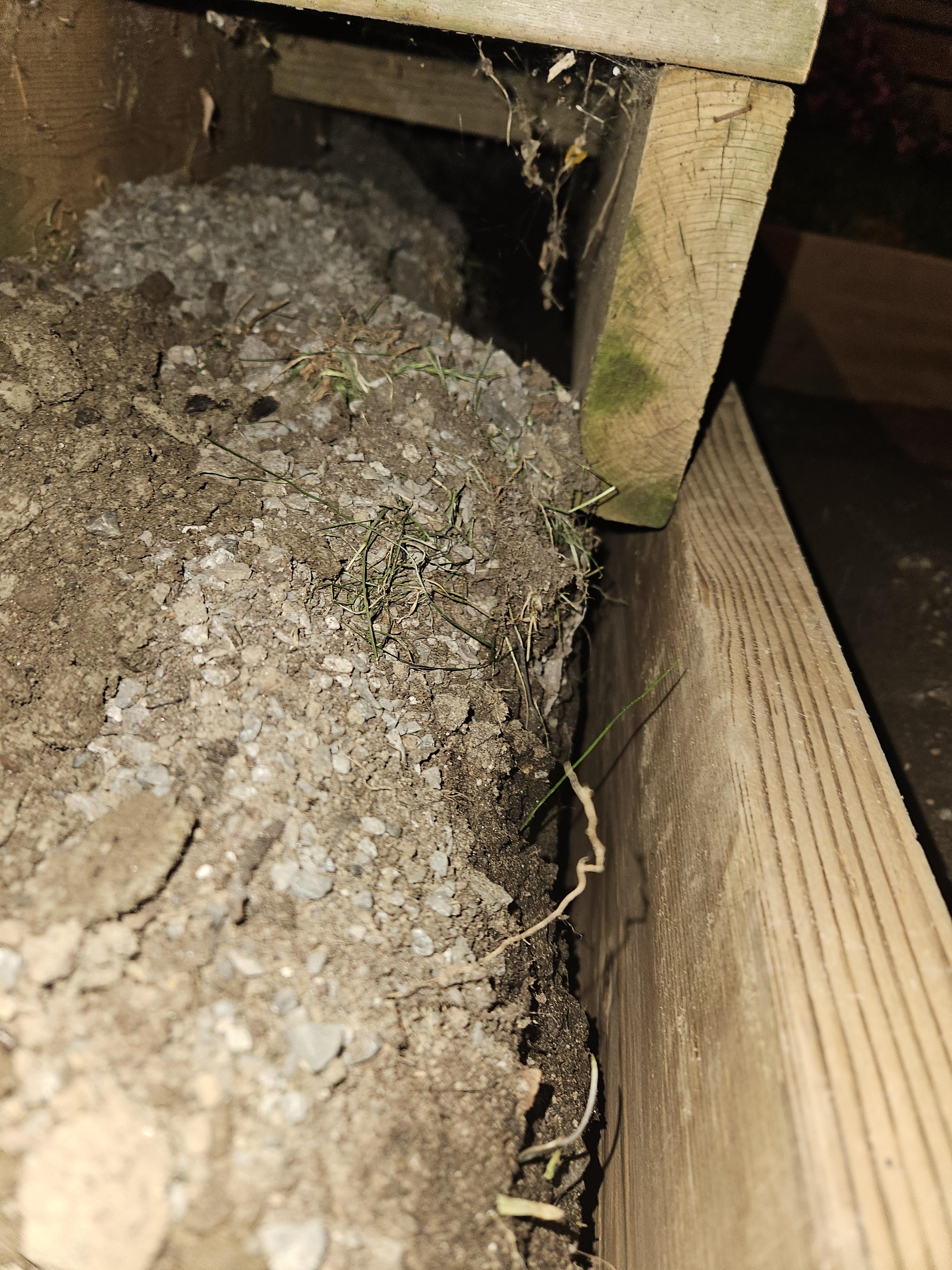 Help...clearstone shifting out under deck | Scrolller