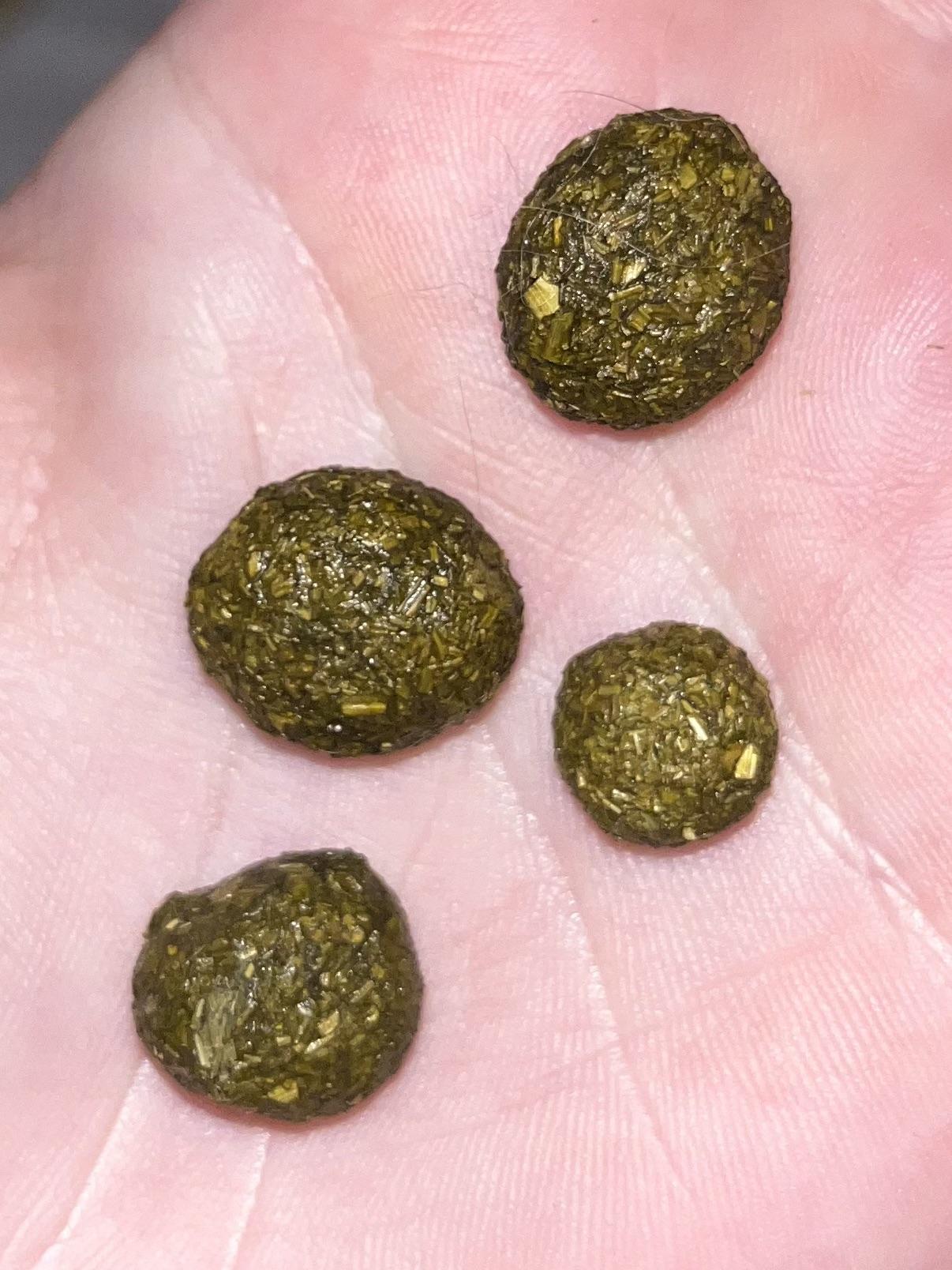 Range of poop | Scrolller