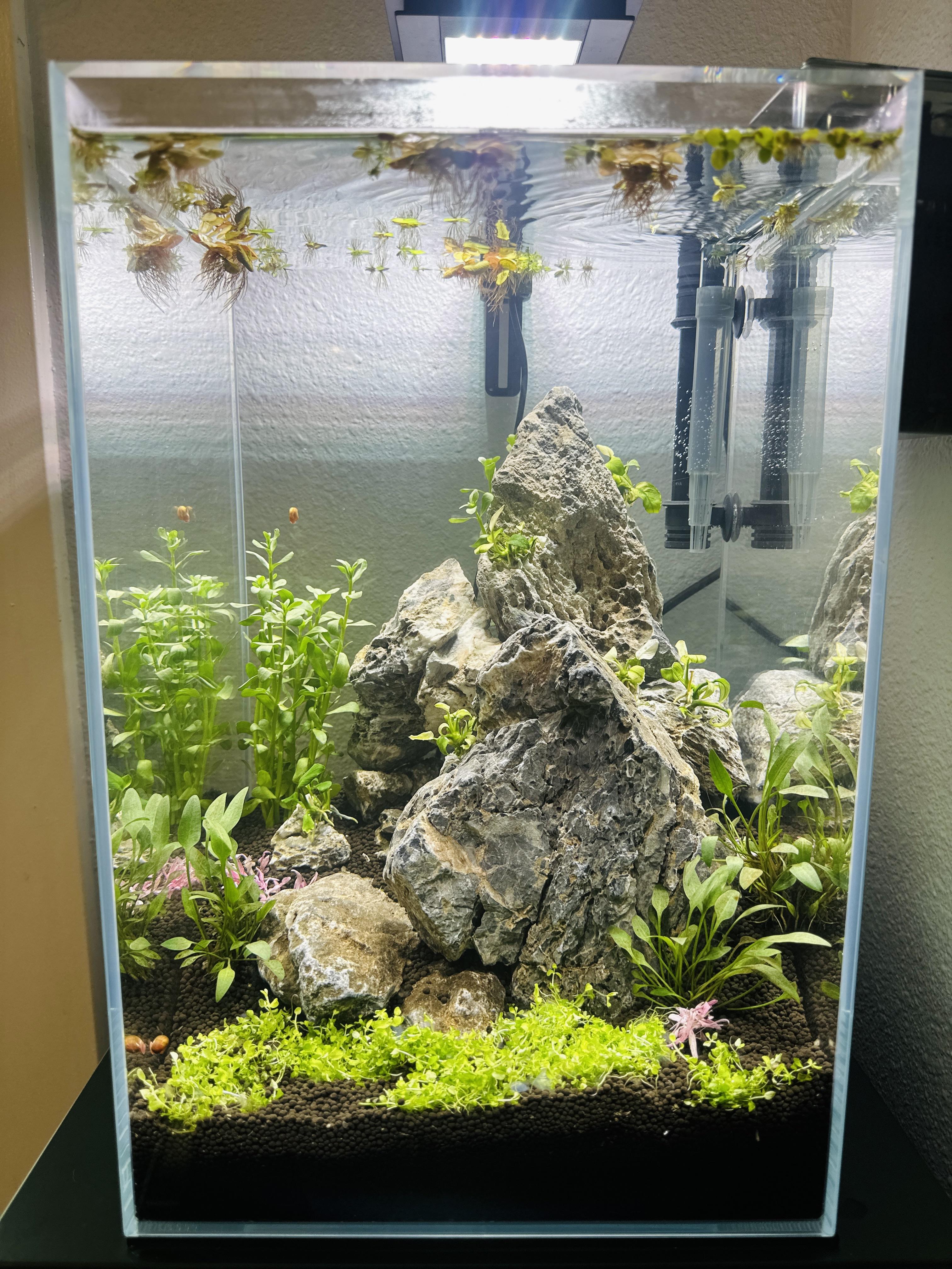 New tank! | Scrolller