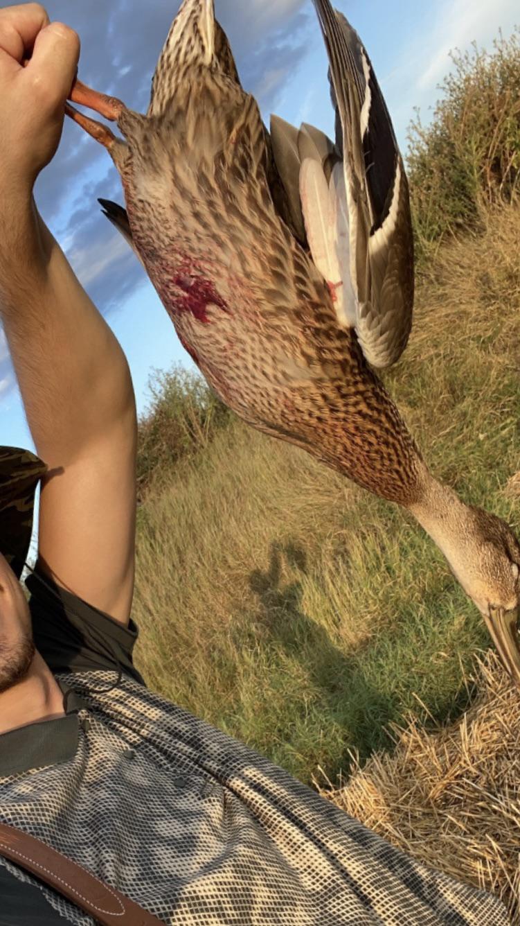 First trophy ! | Scrolller