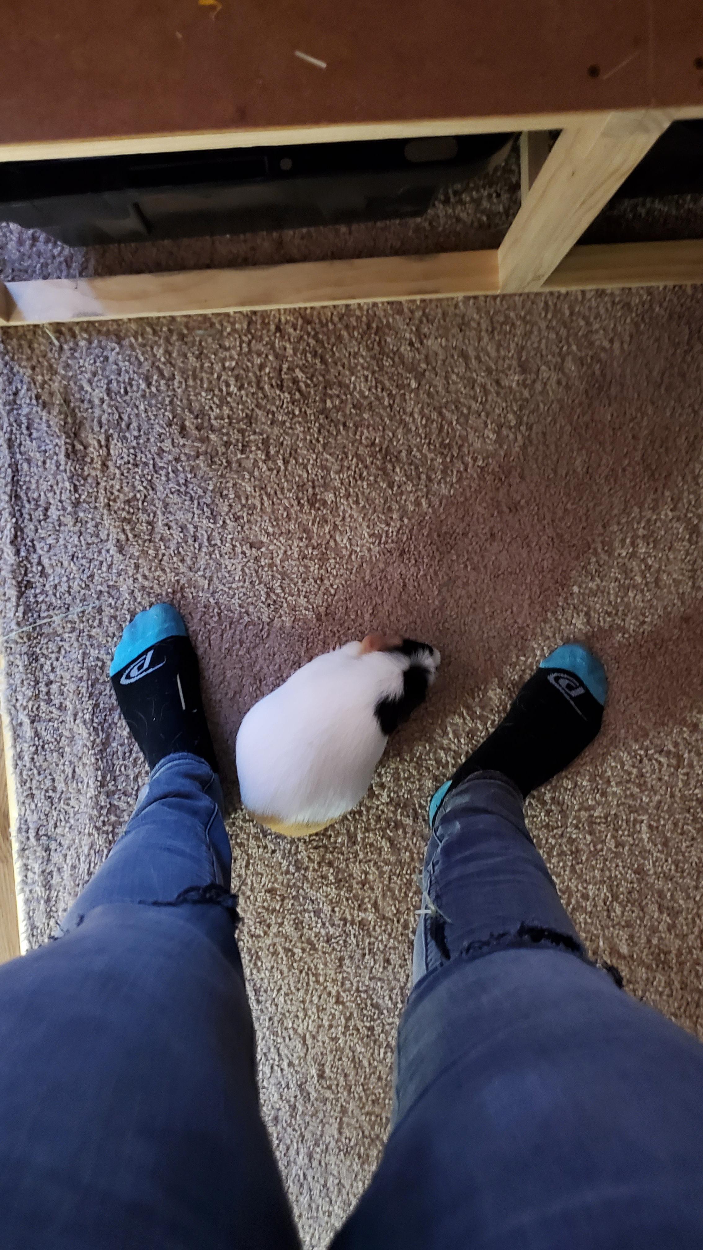 Self preservation or the curse of the bean? | Scrolller