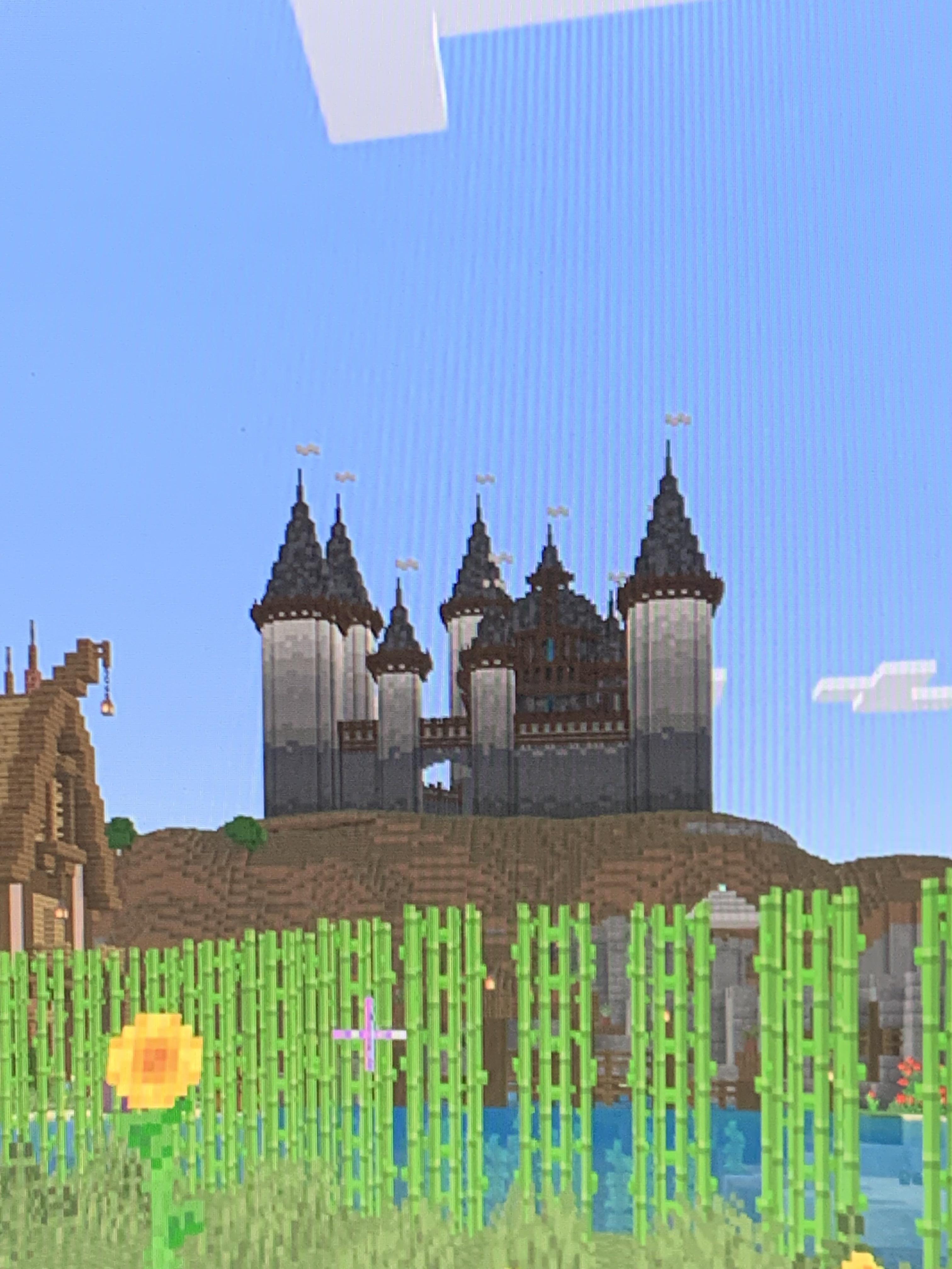 Thoughts on my castle? | Scrolller