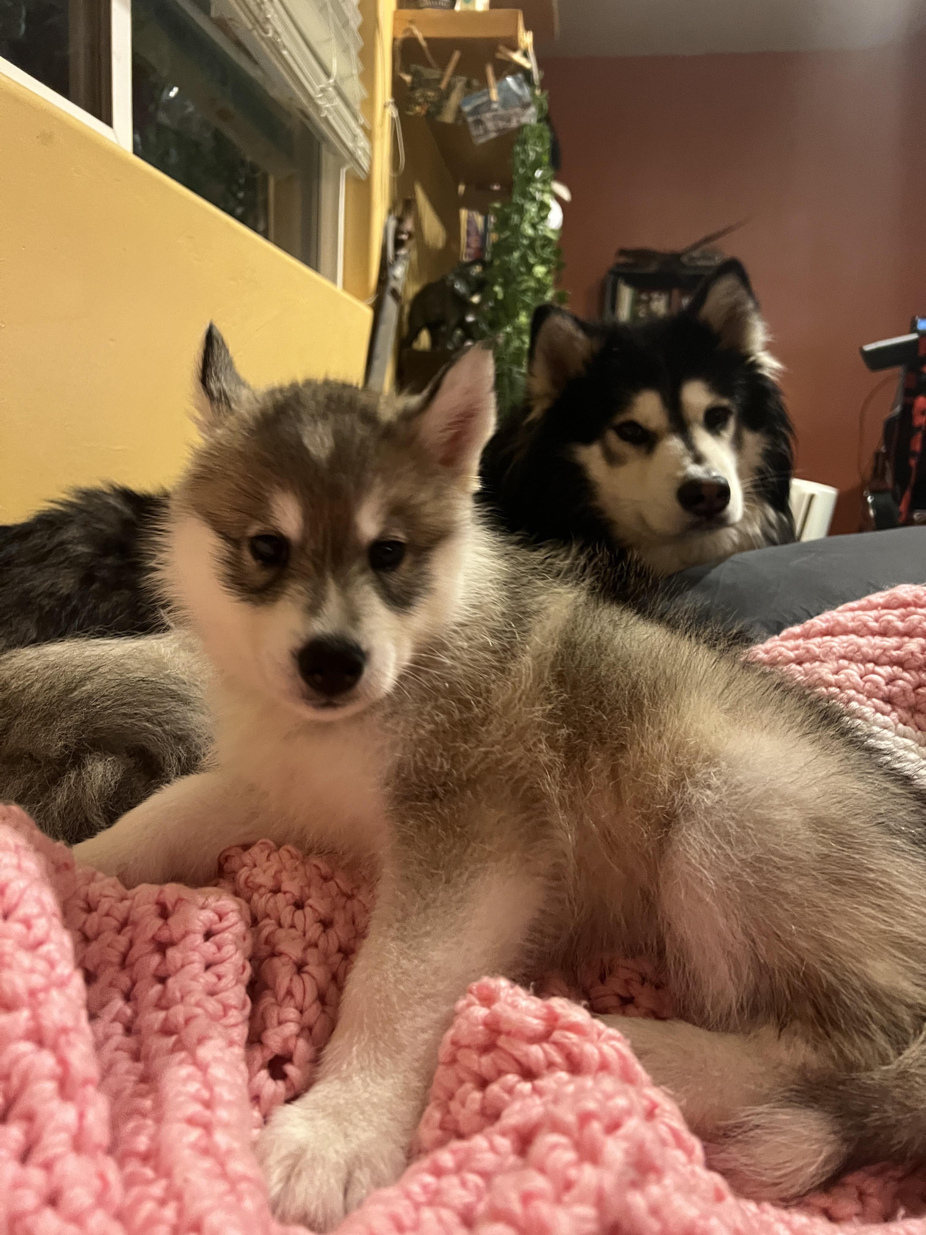 A two month difference 🥲 | Scrolller