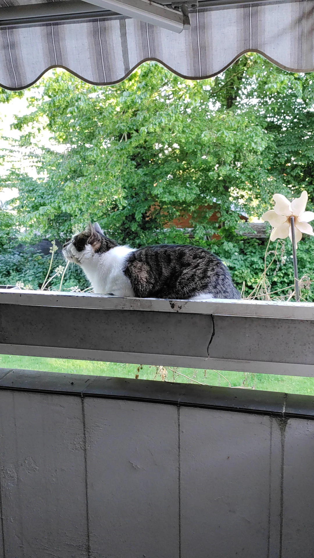 Plant Loaf | Scrolller