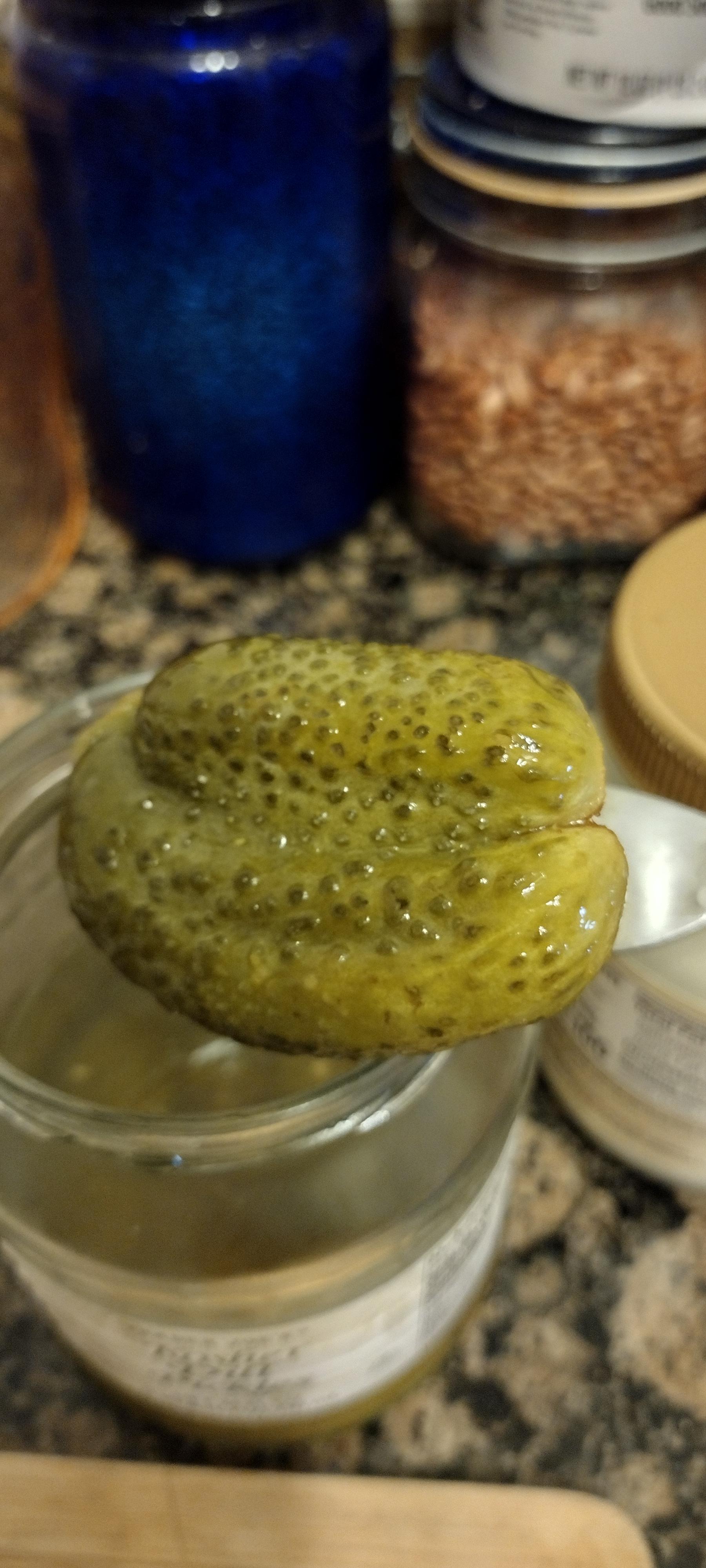 Double pickle | Scrolller